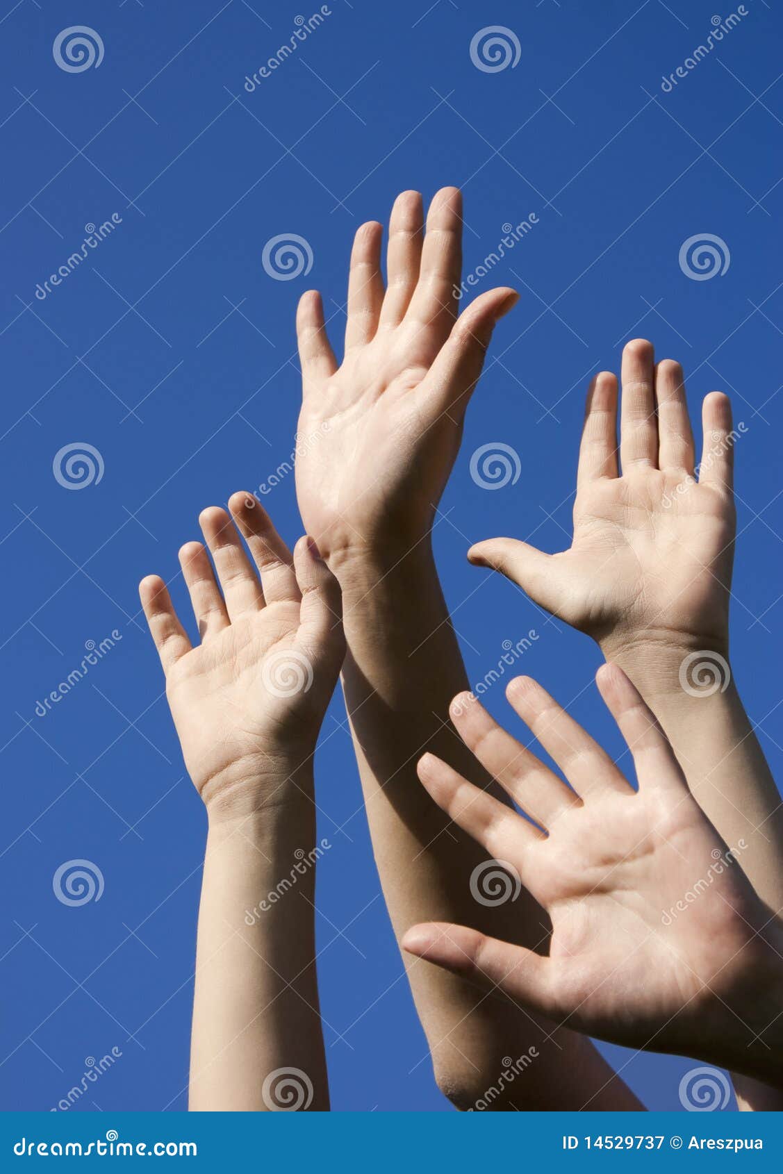 Quattro Mani Umane Sollevate in Su Immagine Stock - Immagine di cielo ...