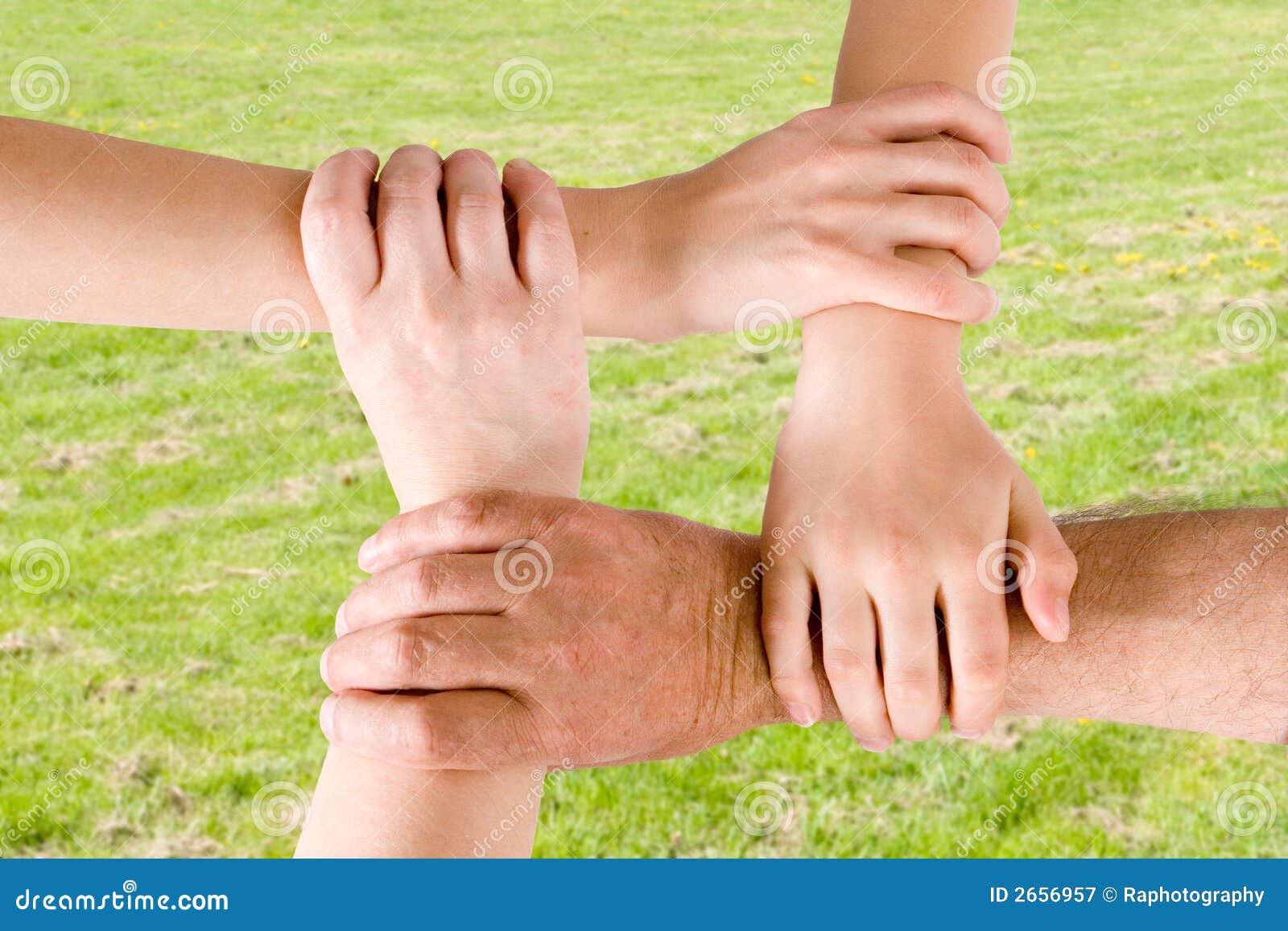 Quattro mani unite insieme immagine stock. Immagine di maschio - 2656957
