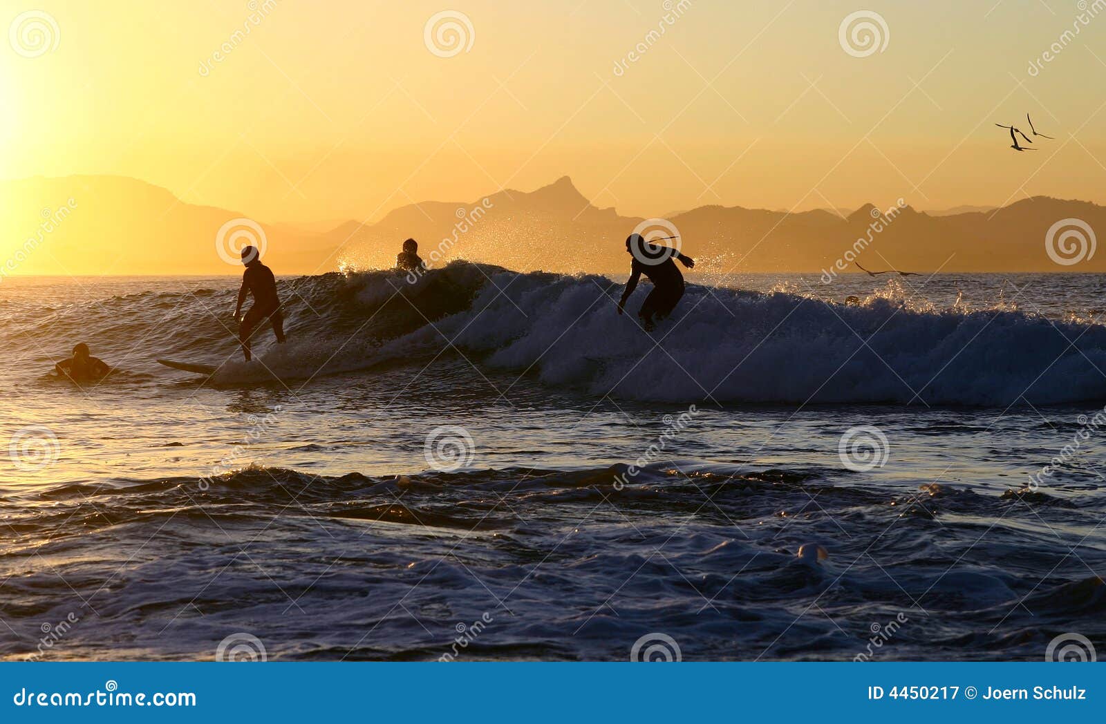 Quattro Surfisti Su Un'onda Immagine Stock - Immagine di uccelli, surf ...