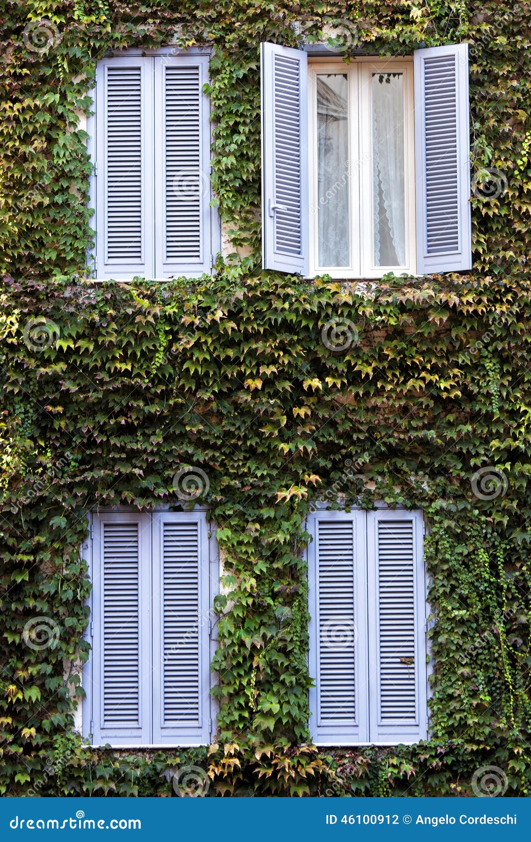 Quattro Windows Facciata Della Costruzione Interamente Coperta Di Edera ...