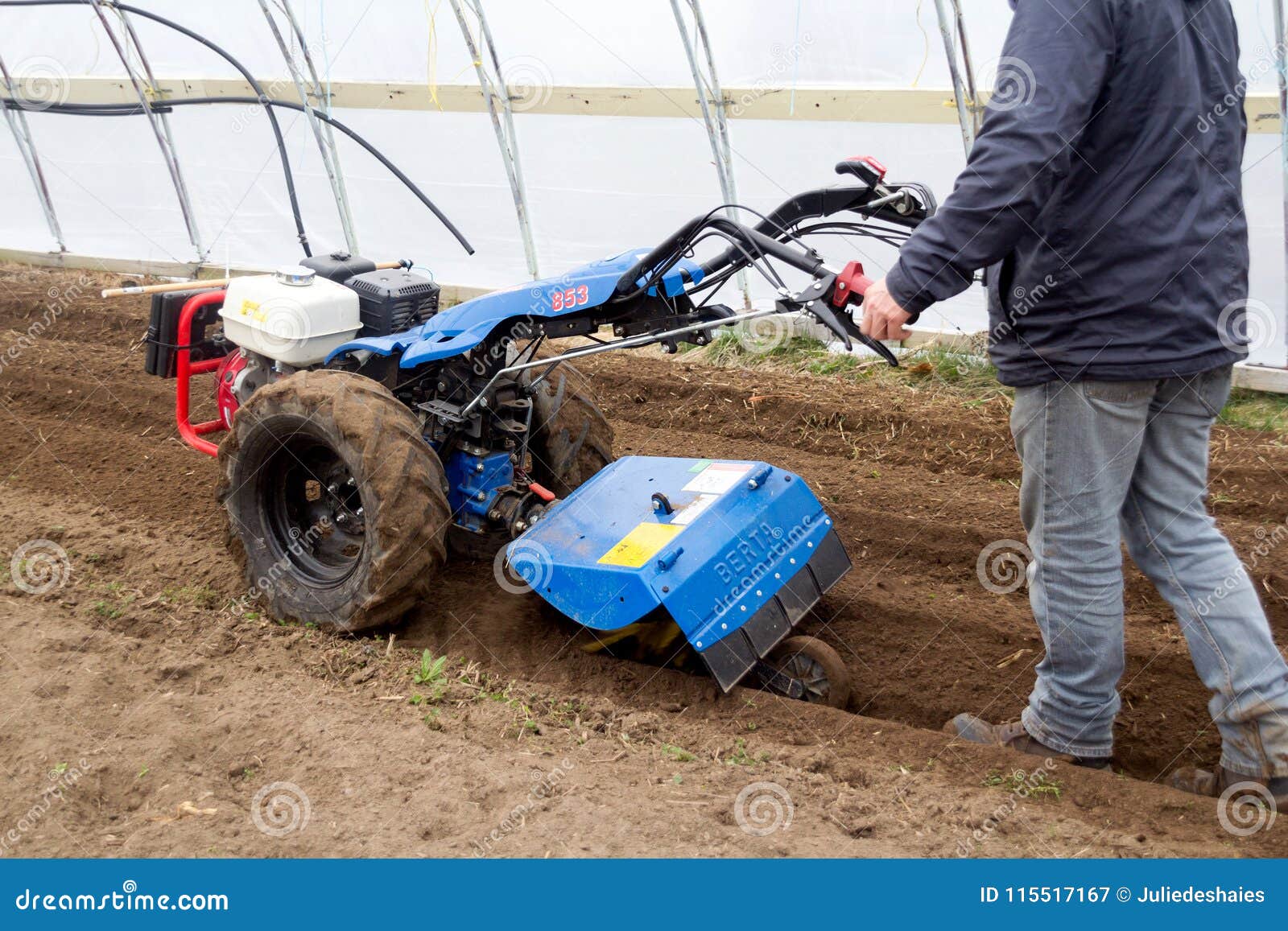 BCS 853 Popular Tractor Unit Working Soil Dirt Inside Green House ...