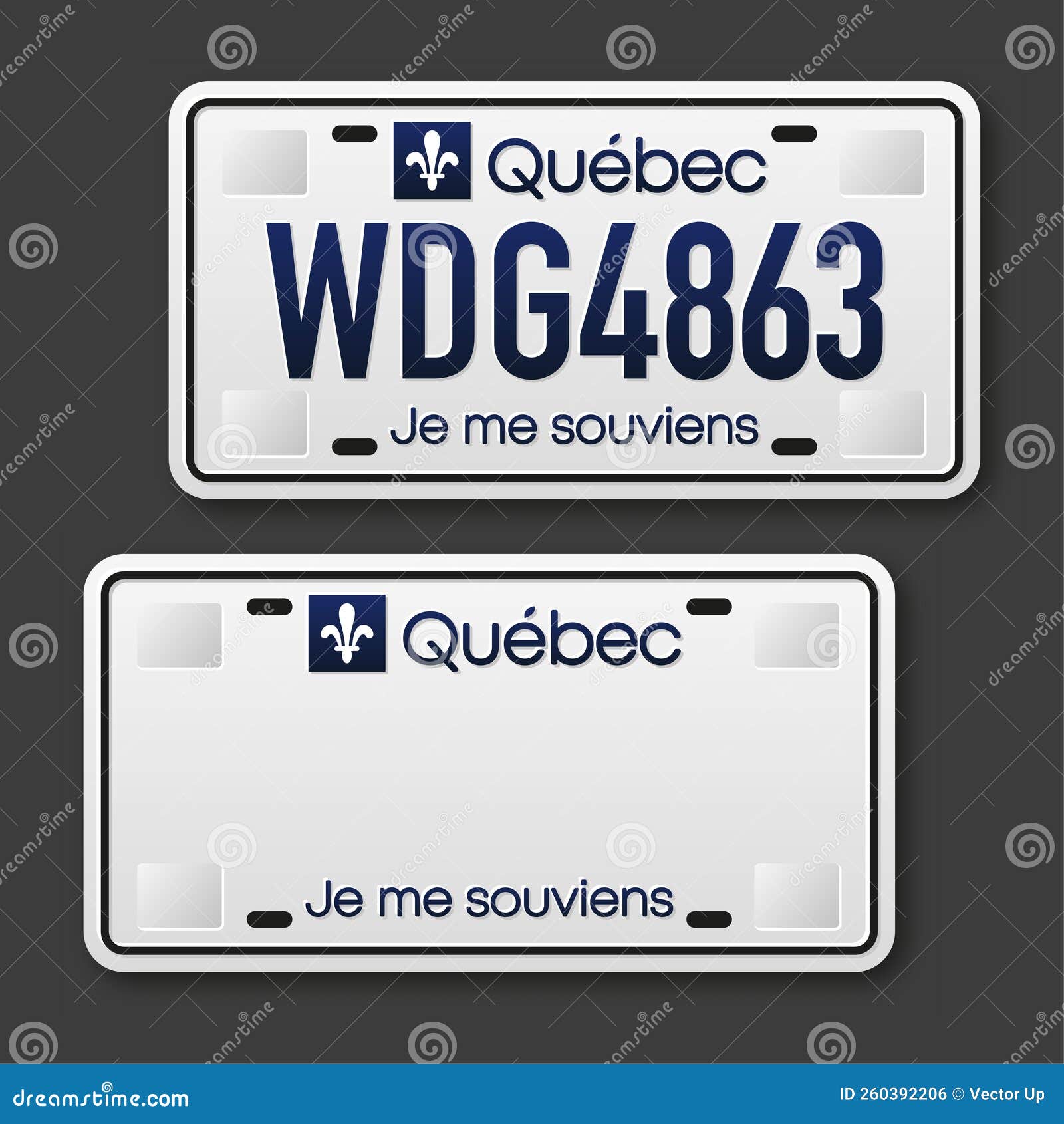 Quebec Car Plate. American with Quebec Car Plate. Stock Vector ...