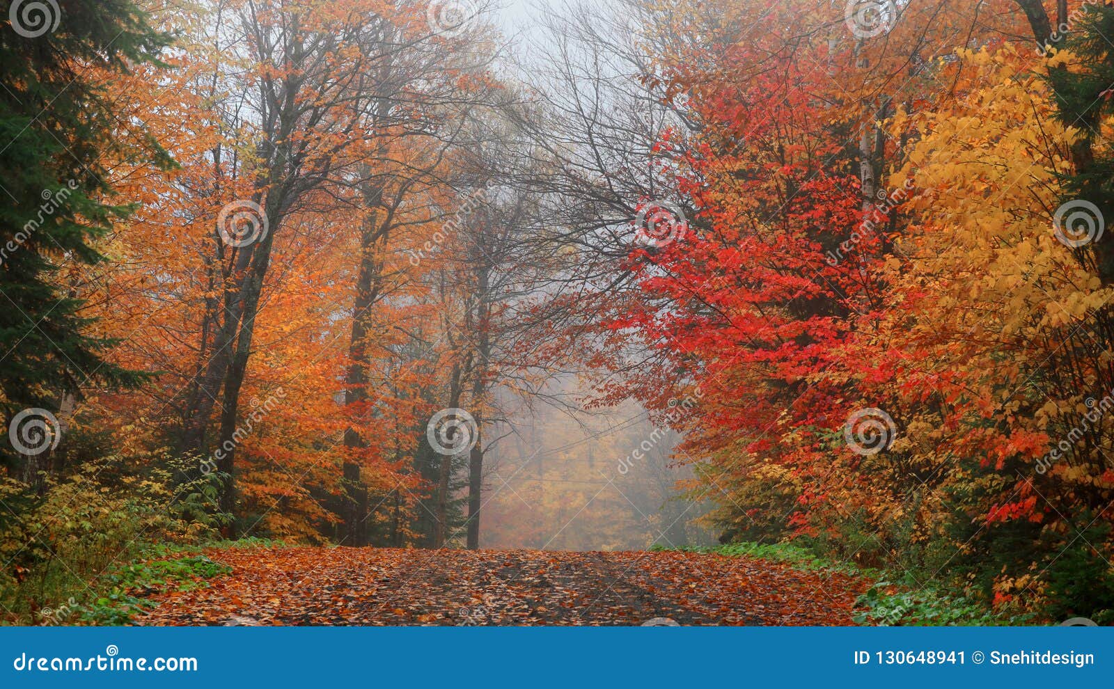 Quebec Countryside in Autumn Time Stock Image - Image of countryside ...