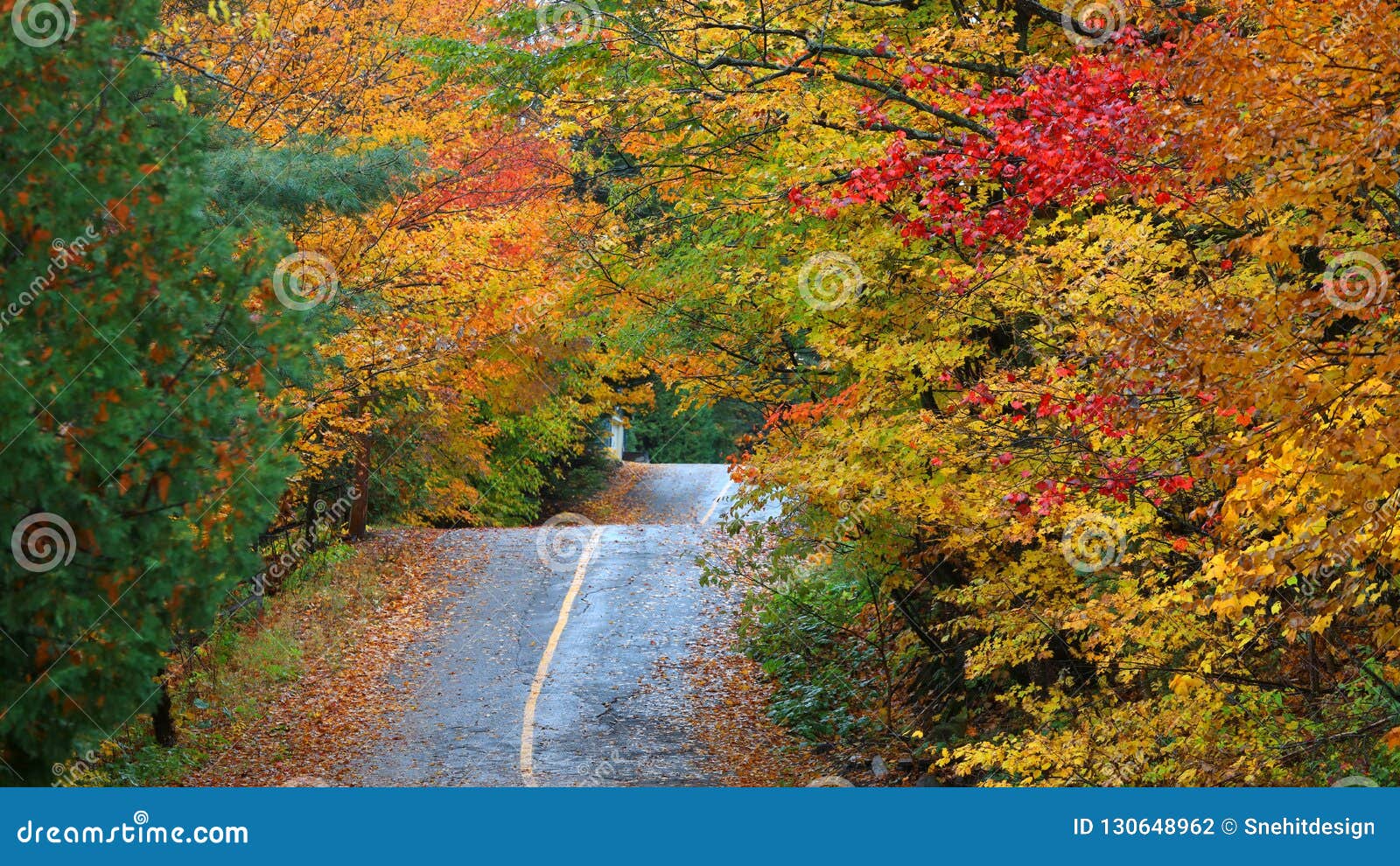 Quebec Countryside in Autumn Time Stock Photo - Image of maine, trees ...