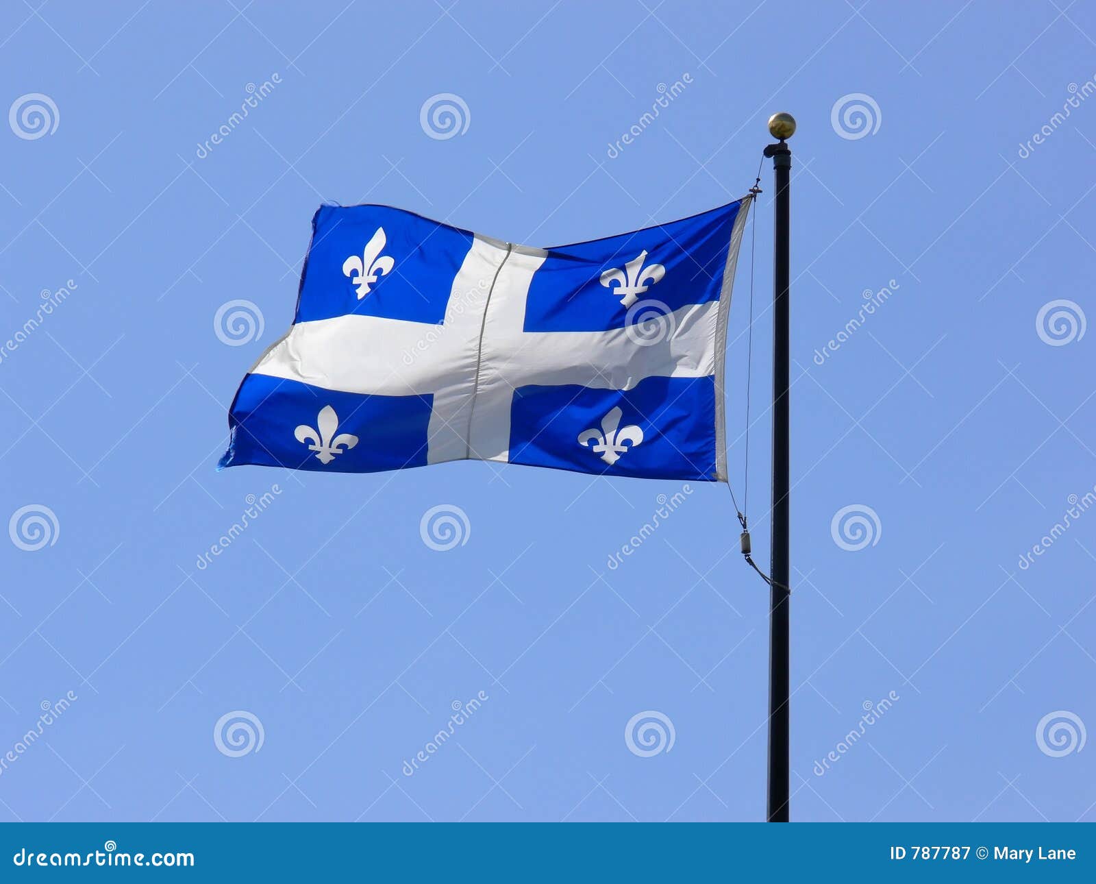 Quebec Flag stock image. Image of province, quebec, national - 787787