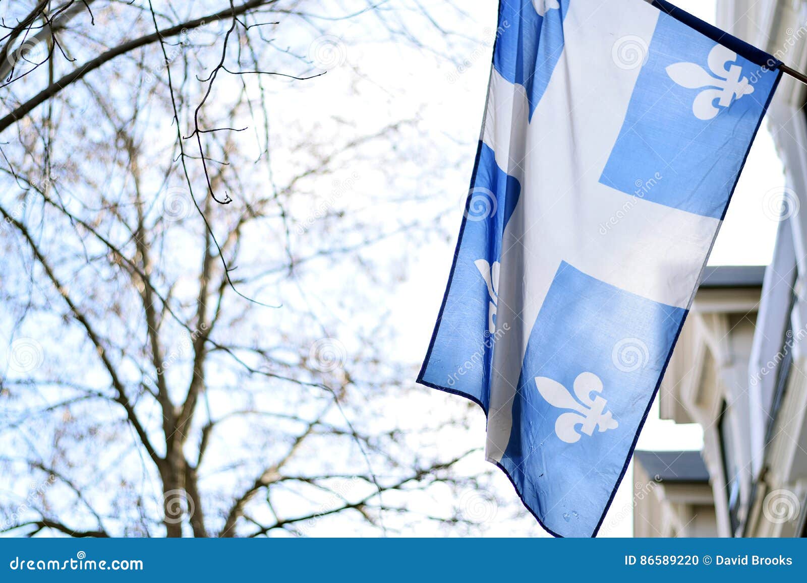 Quebec Flag in Montreal Billowing in the Breeze Stock Photo - Image of ...
