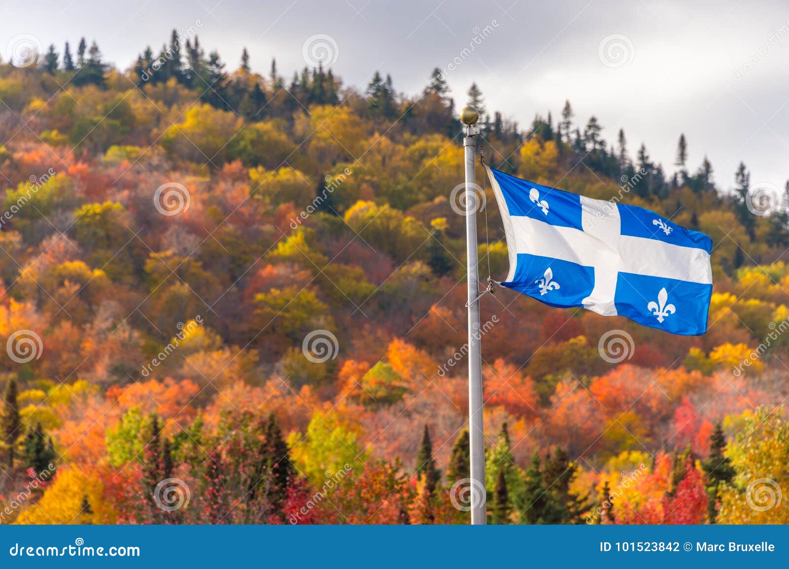 Quebec flag stock photo. Image of blue, park, fleurdelise - 101523842
