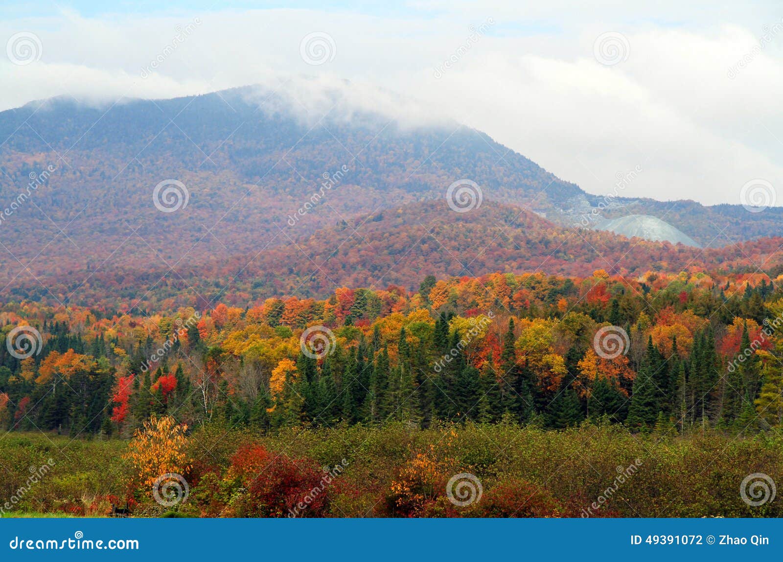 Quebec landscape in fall stock photo. Image of canada - 49391072