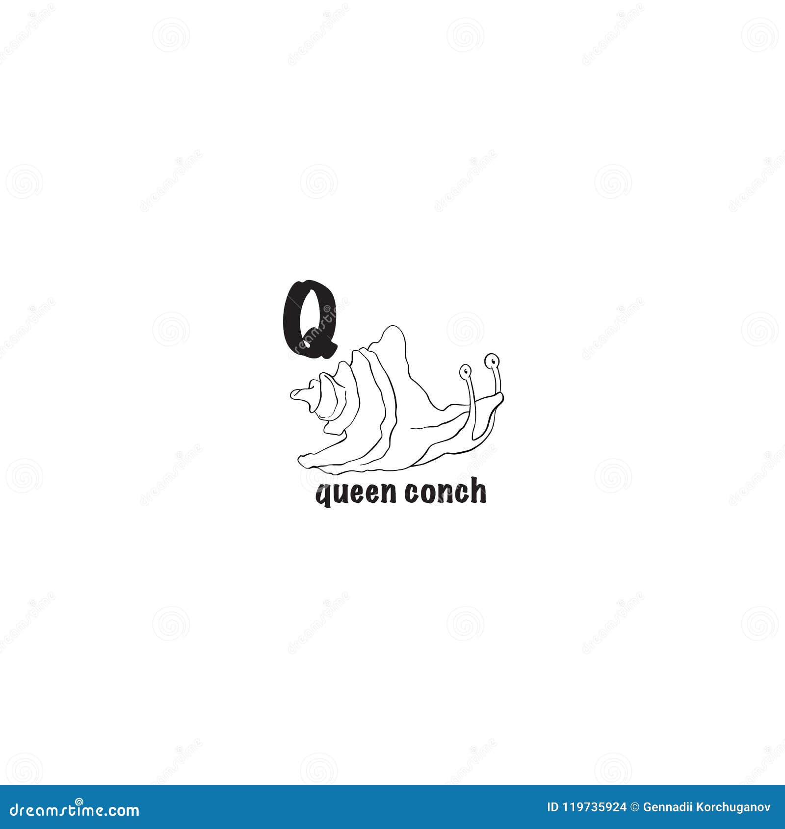 Queen Conch Illustration, Drawing, Engraving, Ink, Realistic Cartoon ...