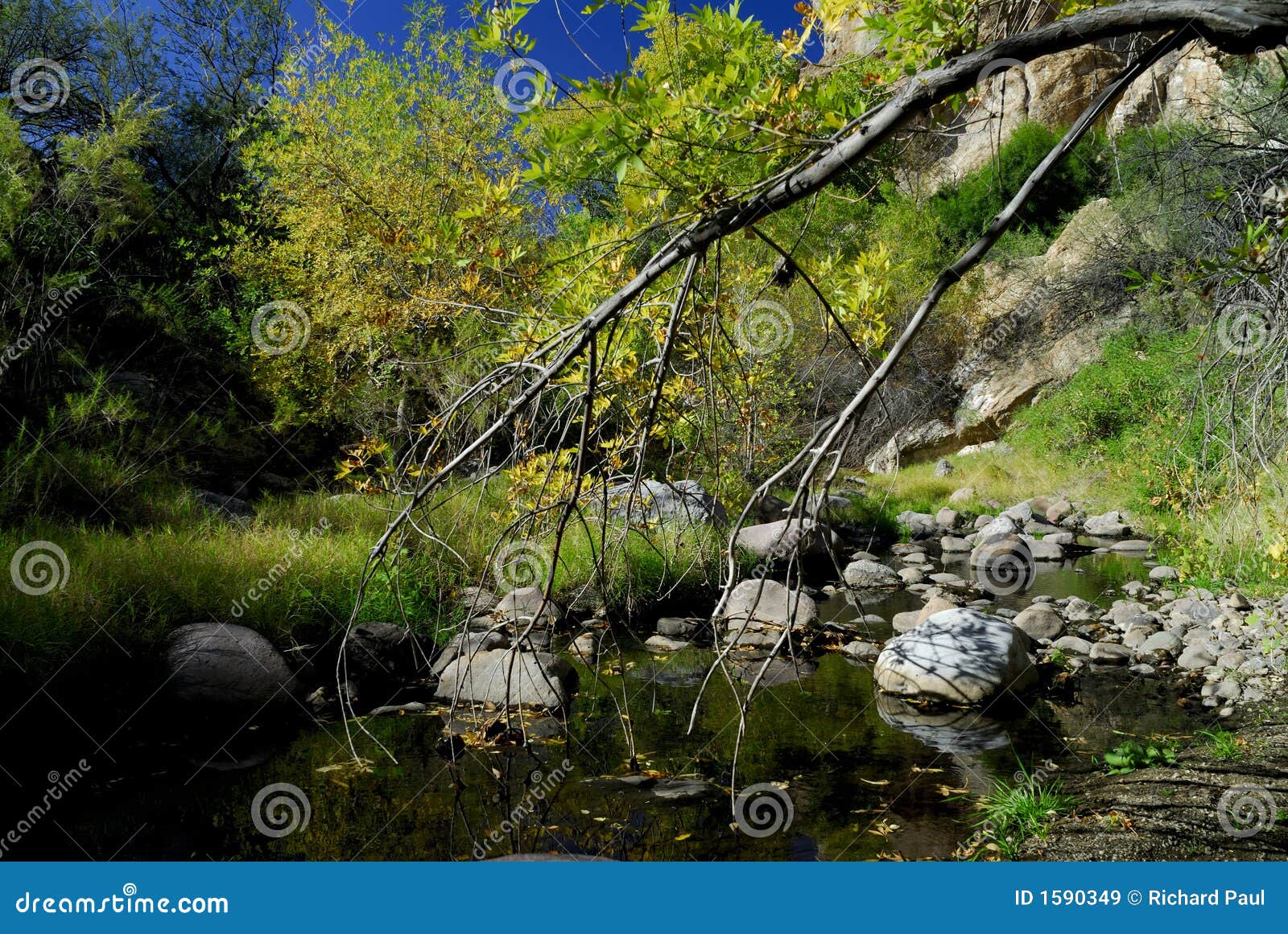 Queen Creek stock image. Image of water, thomson, creek - 1590349