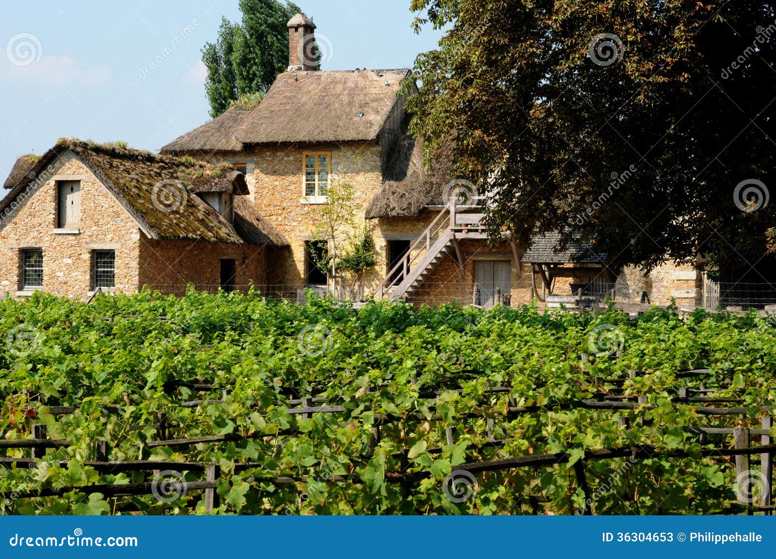 Queen Hamlet in the Park of Versailles Palace Stock Image - Image of ...