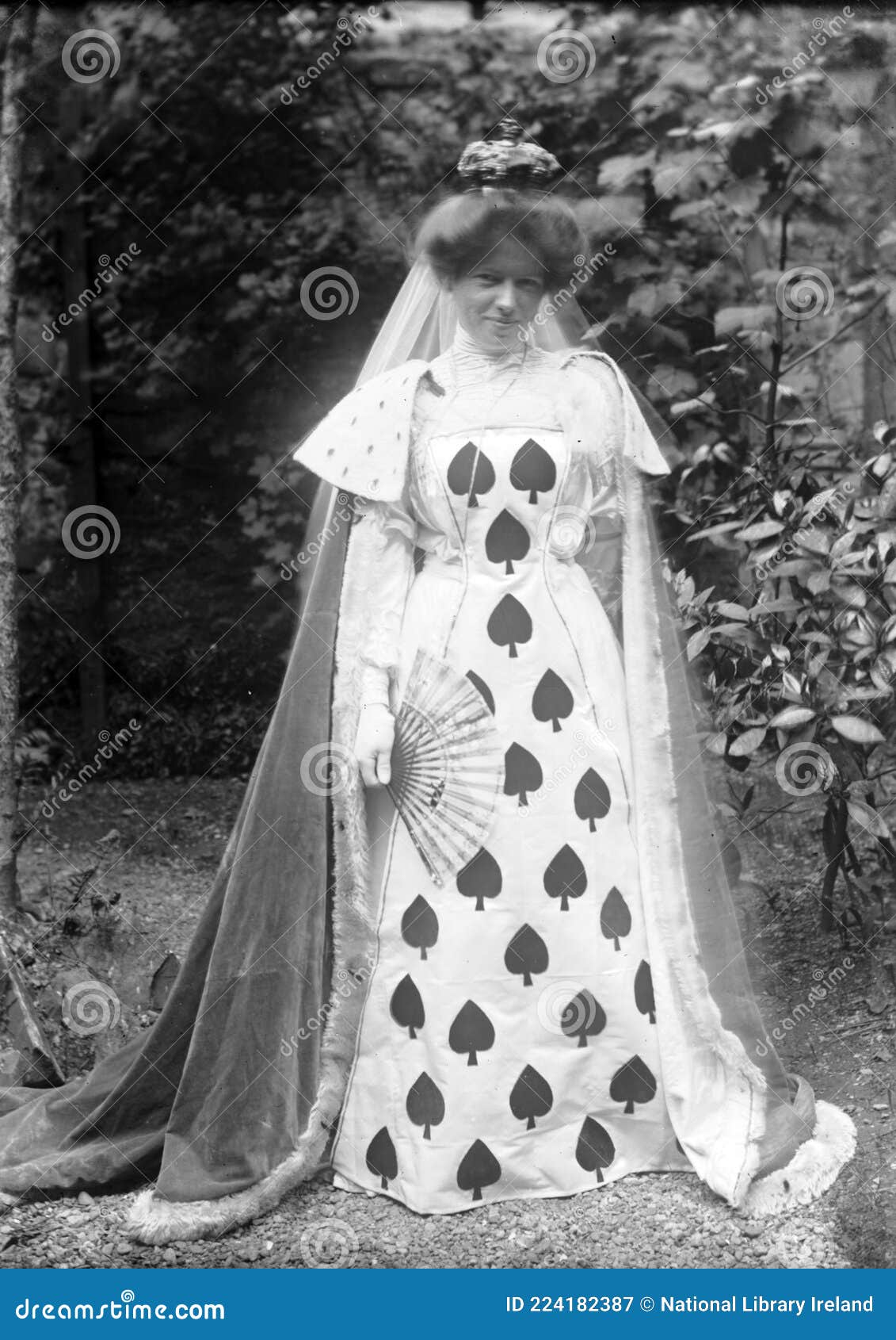 Queen Of Spades Picture. Image: 224182387