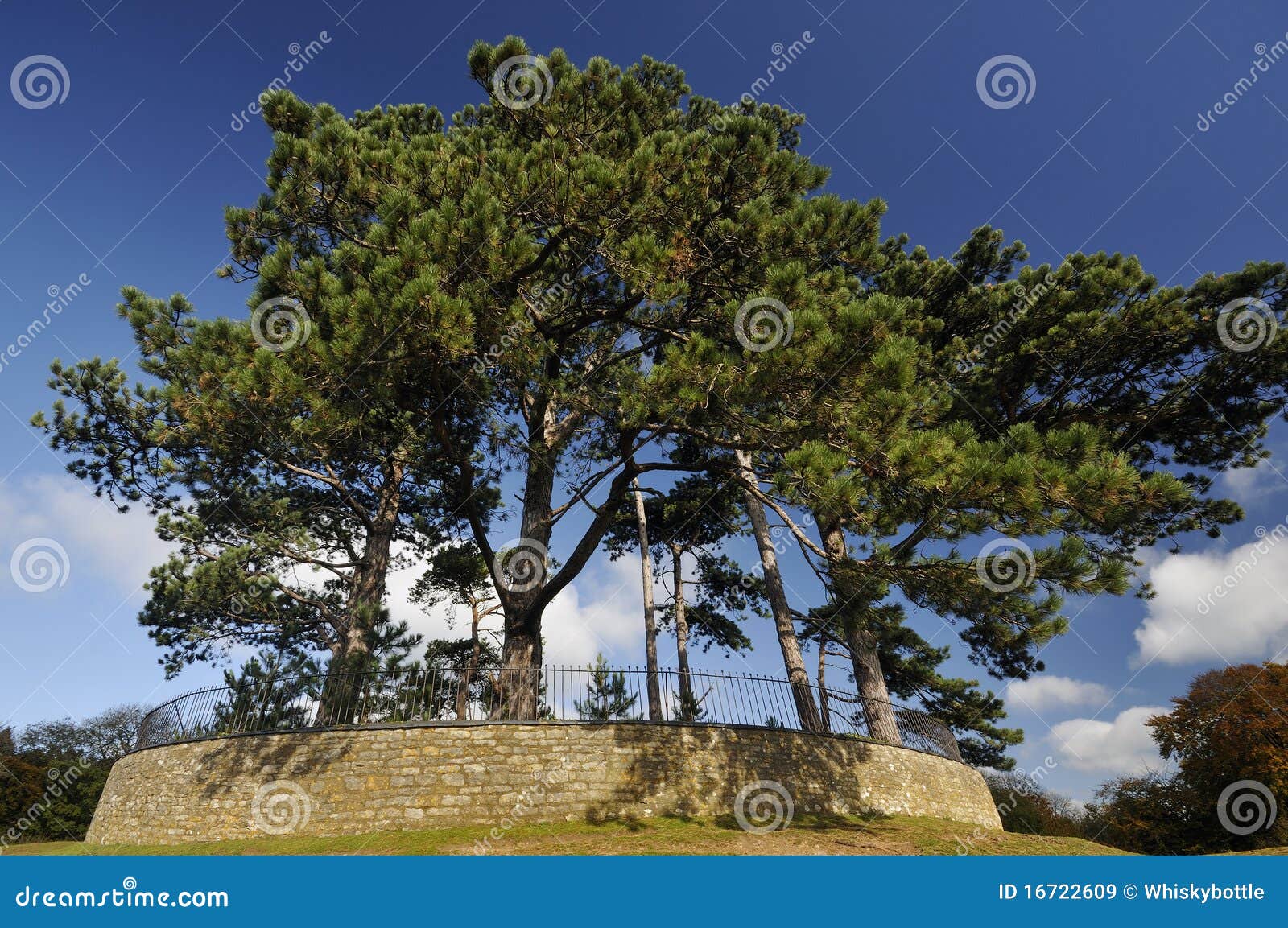 Queen Victoria Jubilee Trees Stock Image - Image of memorial ...
