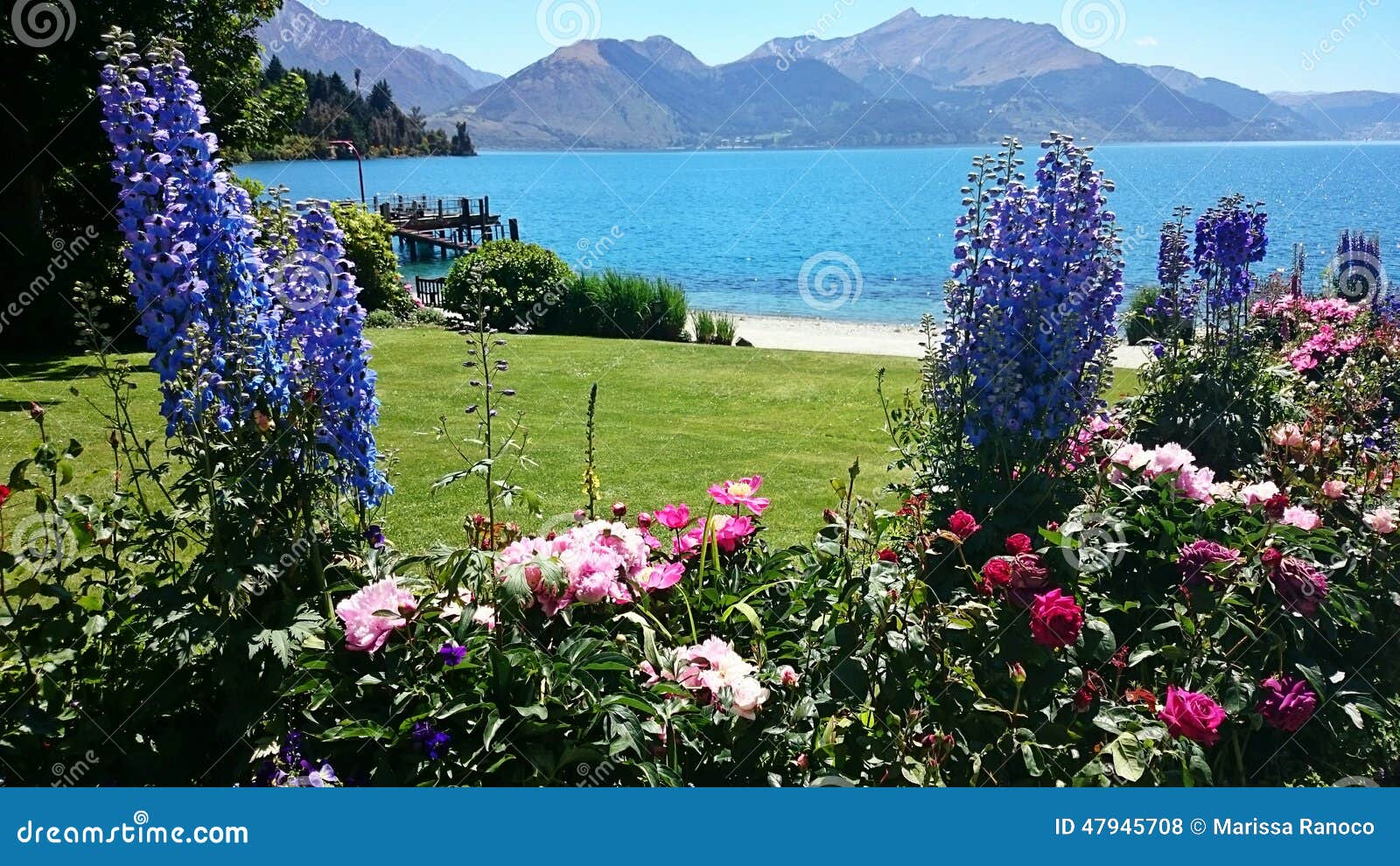 Queenstown editorial stock photo. Image of beautiful - 47945708
