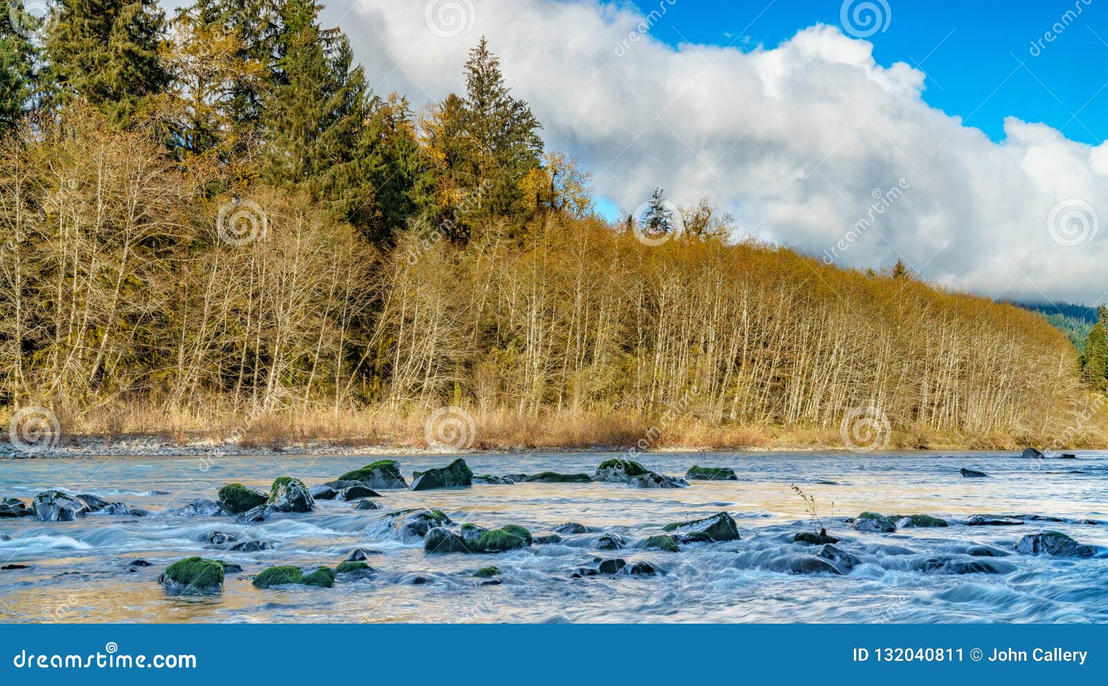 Queets River Late Afternoon Stock Image - Image of reservoir, forest ...