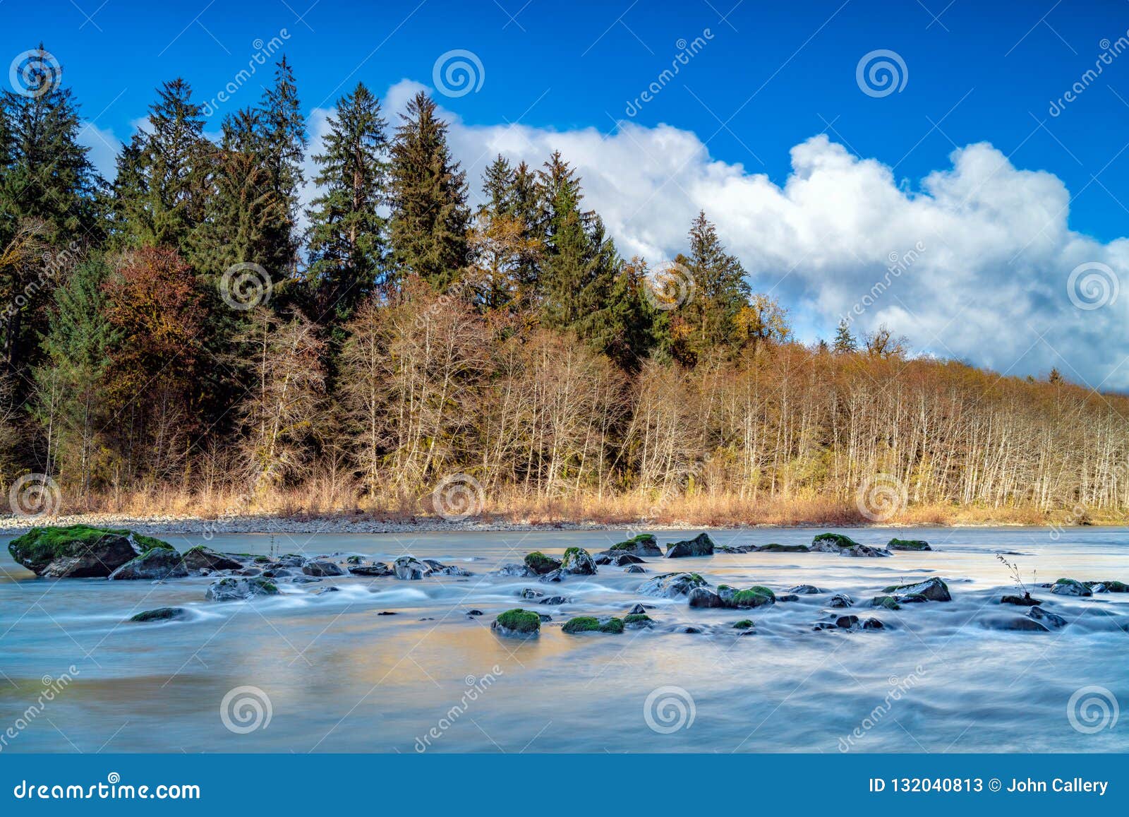 Queets River Late Afternoon Stock Image - Image of tree, view: 132040813
