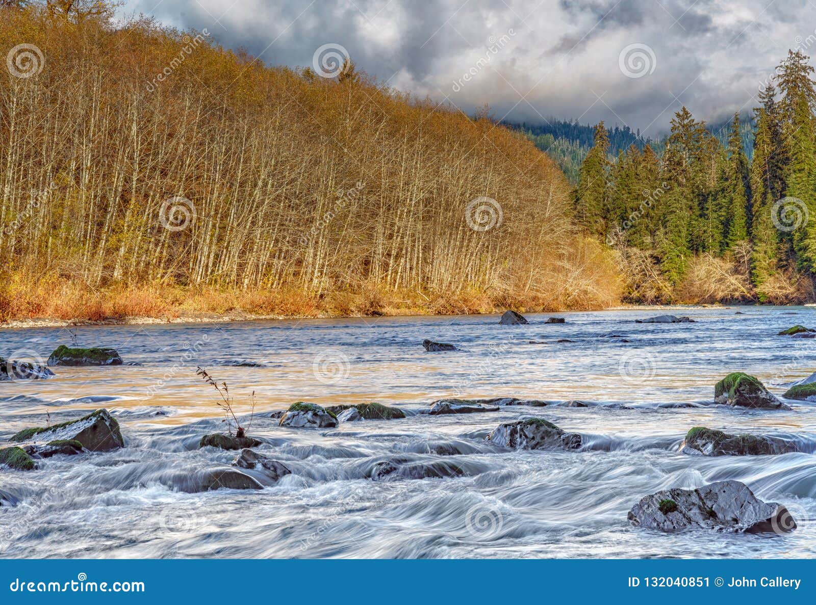 Queets River Late Afternoon Stock Image - Image of tree, lake: 132040851