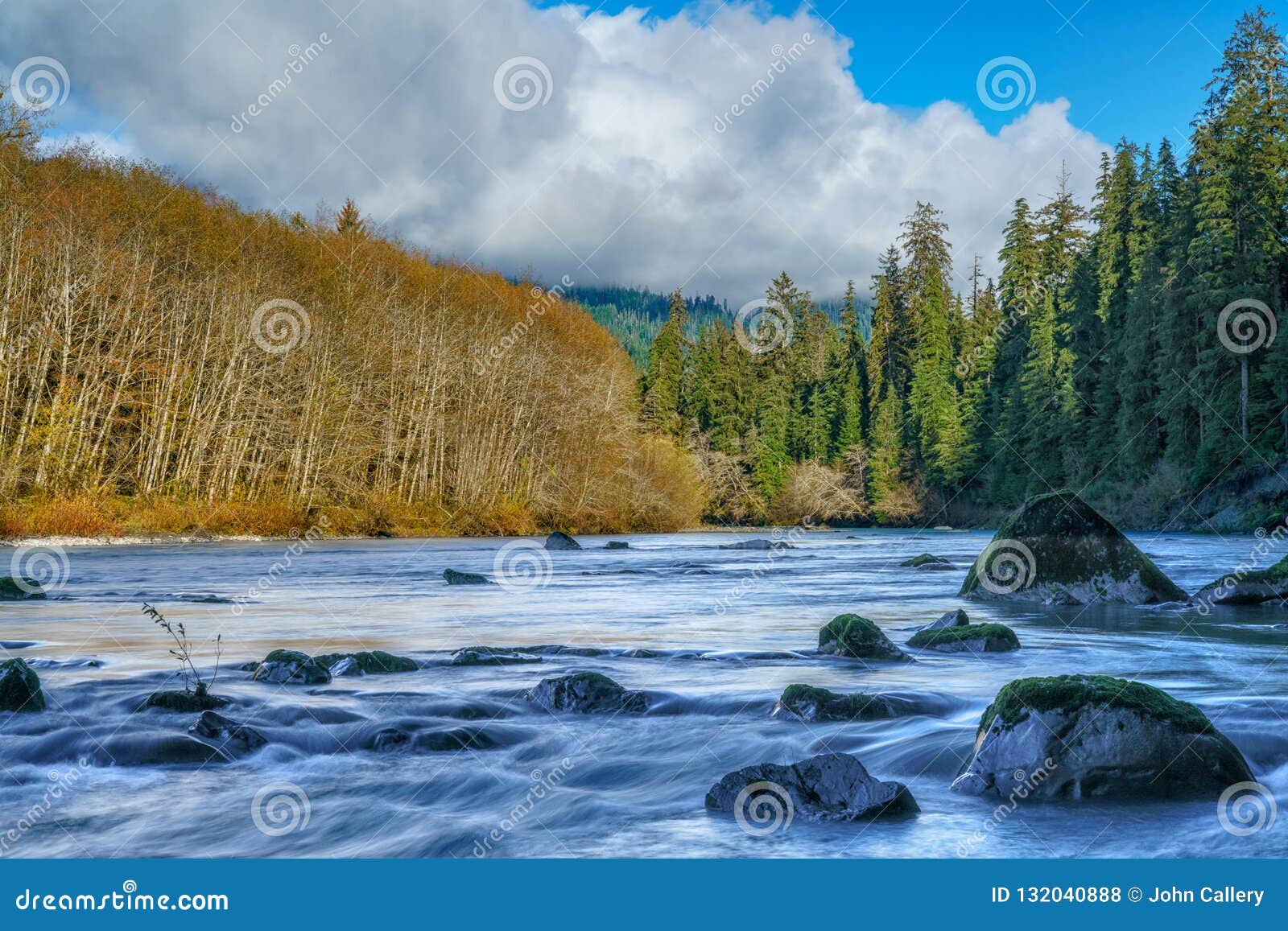 Queets River Late Afternoon Stock Photo - Image of water, landscape ...