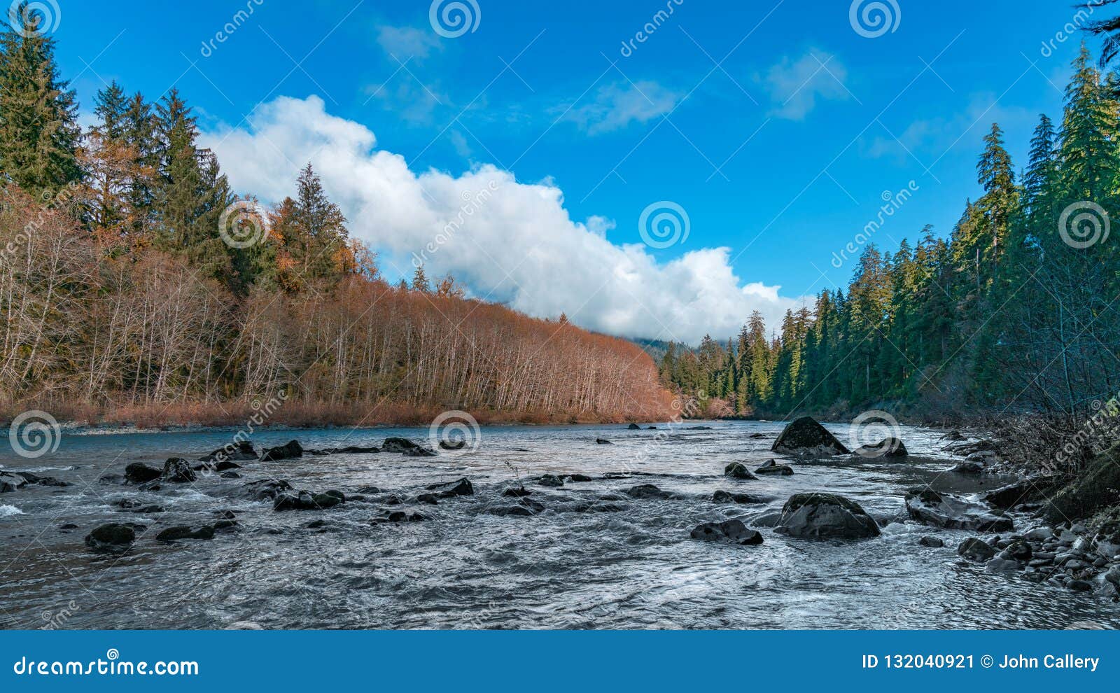 Queets River Late Afternoon Stock Image - Image of landscape, lake ...