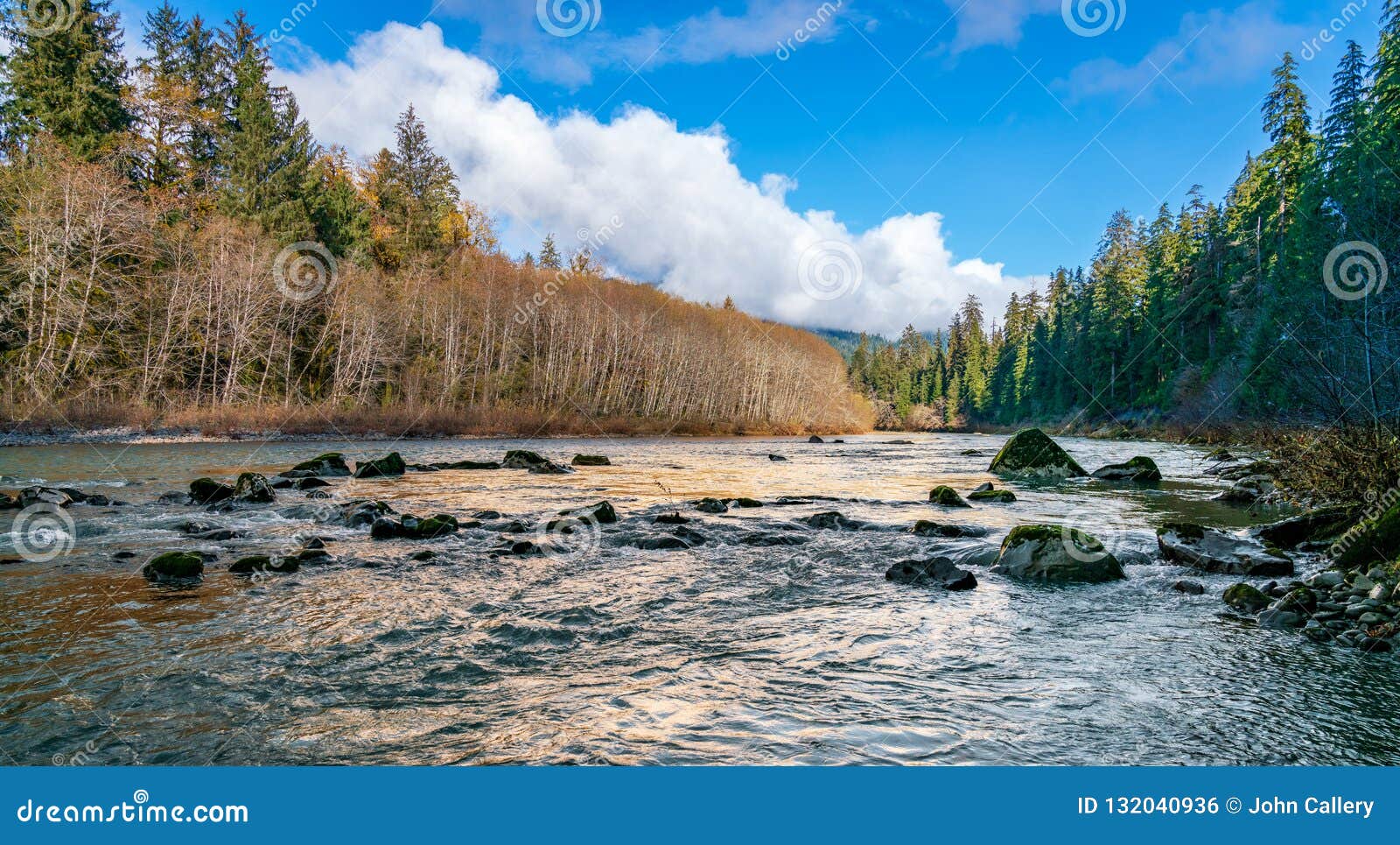 Queets River Late Afternoon Stock Photo - Image of nature, morning ...