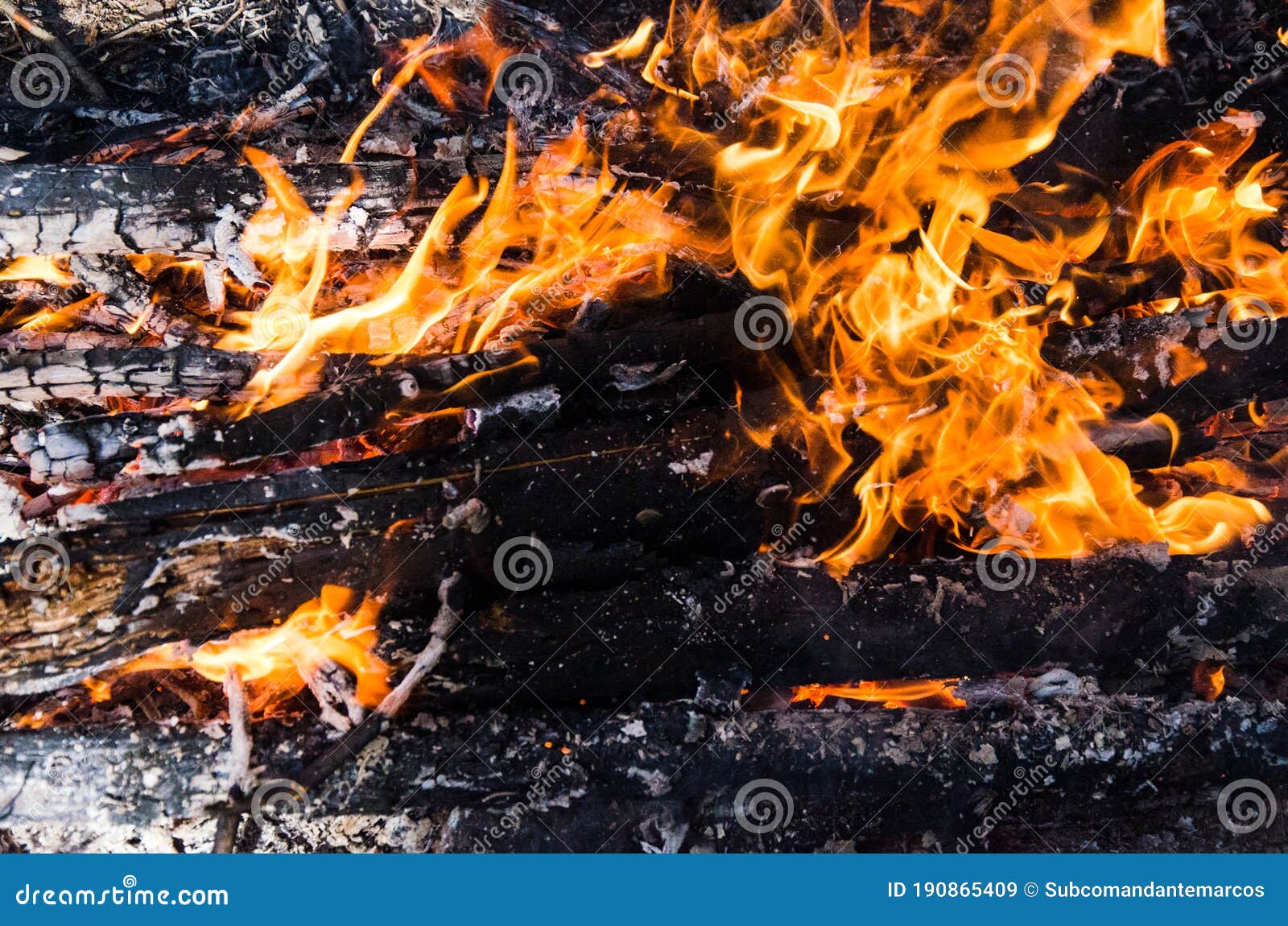 Queima Da Campfiretextura Florestal E Fundo De Queima De Carvão Imagem ...