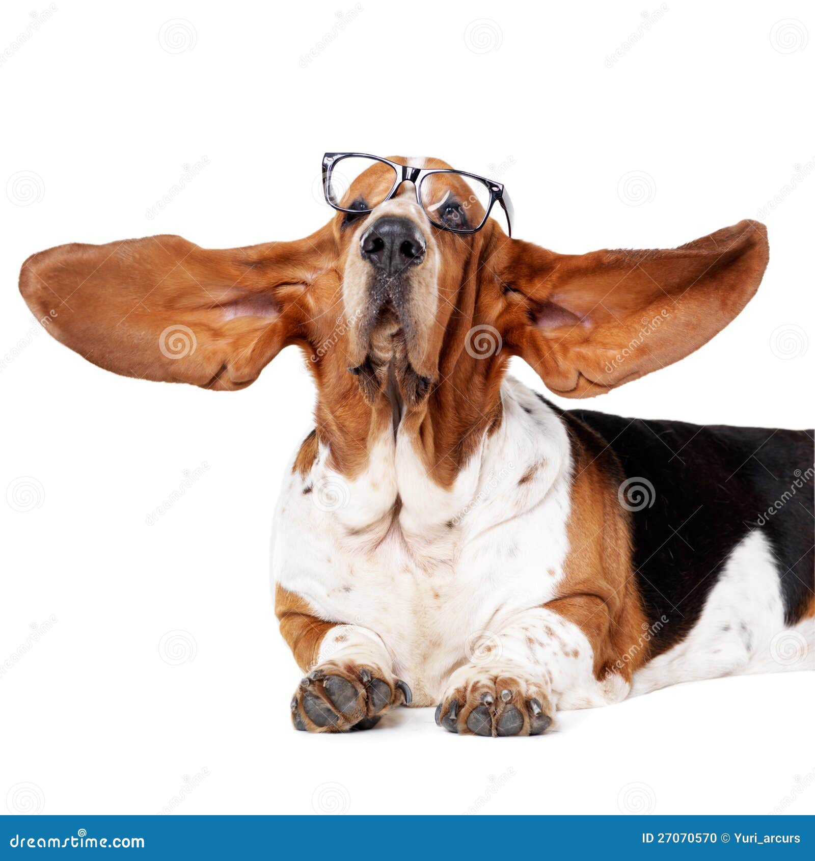 Quelles Grandes Oreilles Vous Avez ! Photo stock - Image du agiter ...