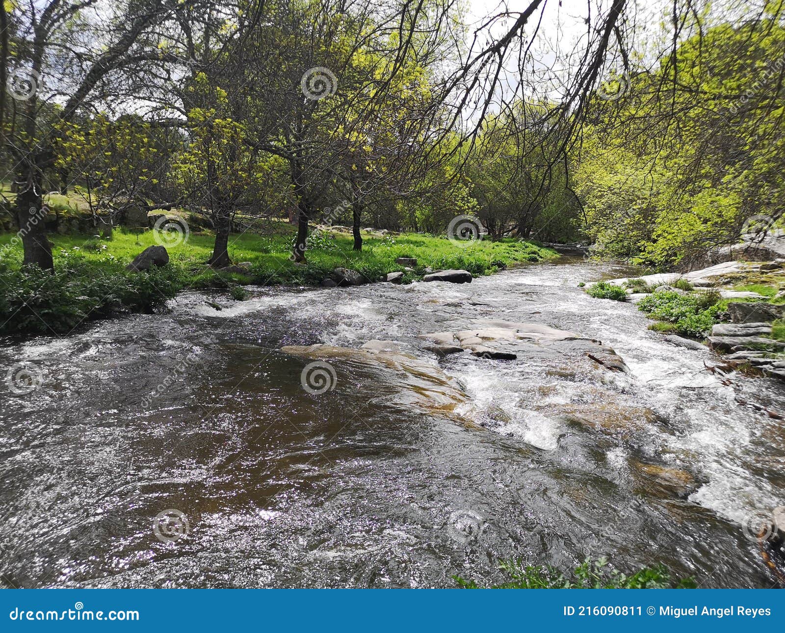 Quellwasser stockbild. Bild von schönheit, landschaft - 216090811