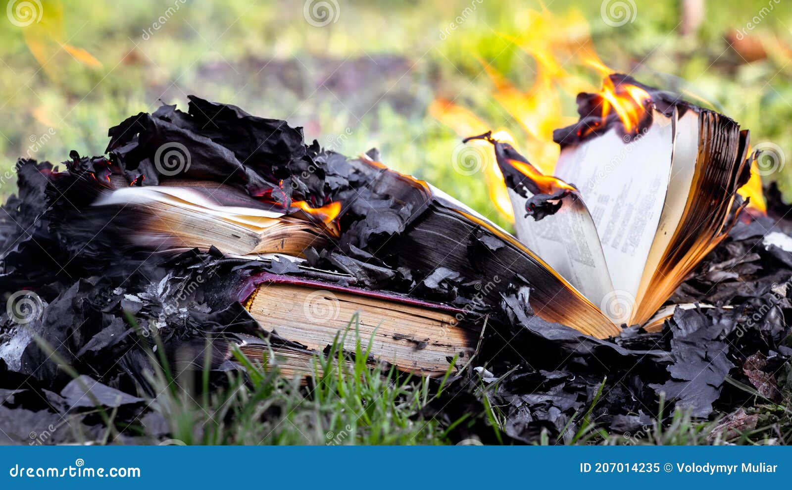 Quema De Libros Prohibidos. Quemando Libros En Llamas Imagen de archivo ...