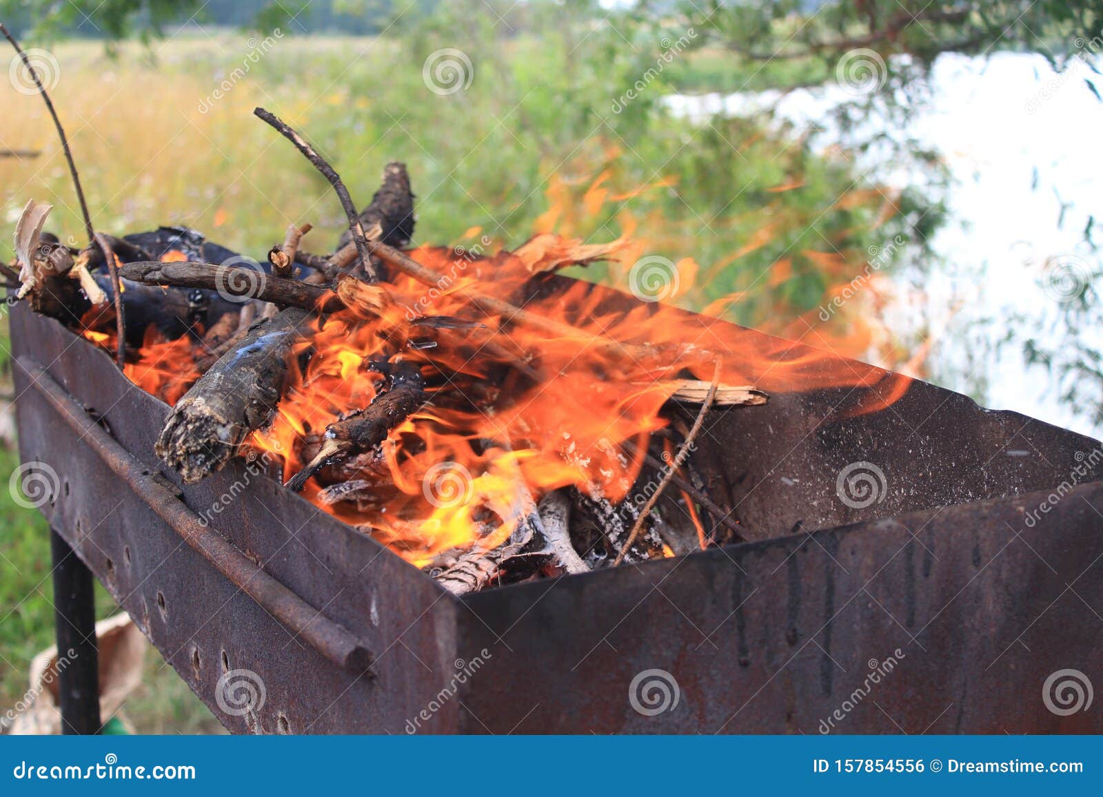 Quema De Madera En El Asador Foto de archivo - Imagen de fuego, llama ...