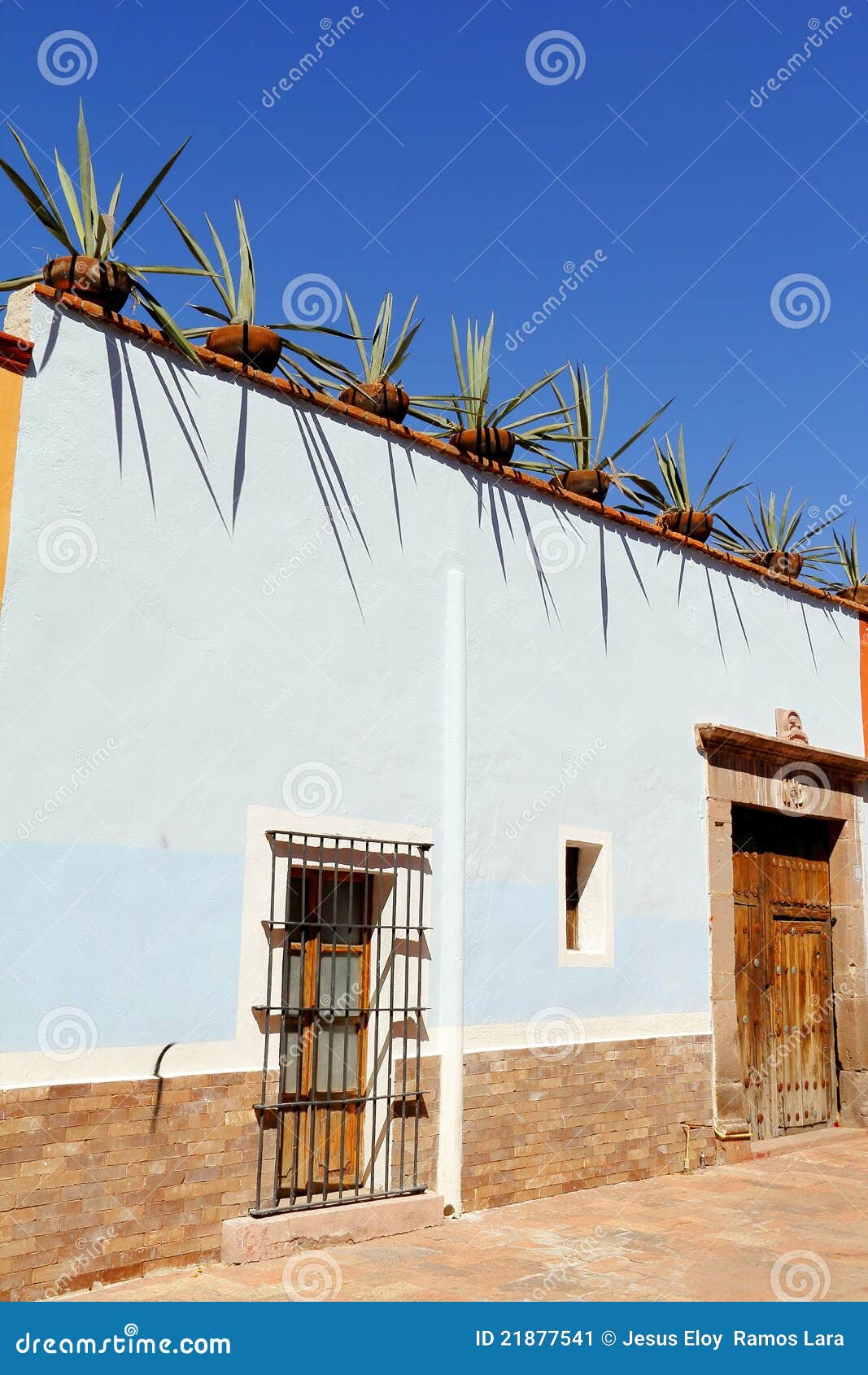 Blue Agaves in a Traditional House in Queretaro, Mexico IV Stock Image ...