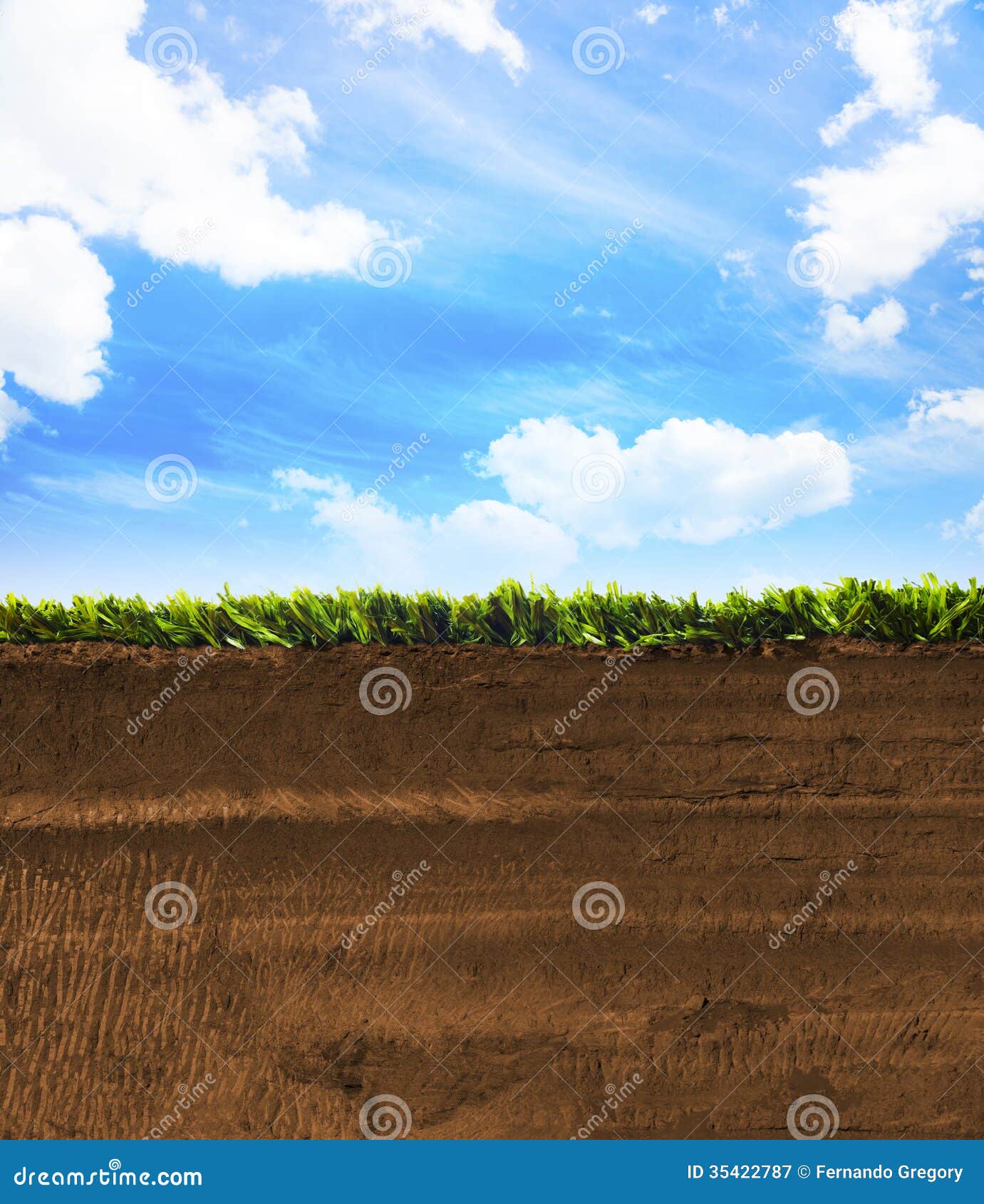 Querschnitt Gras Mit Blauem Himmel Stockbild - Bild von seite, feld ...