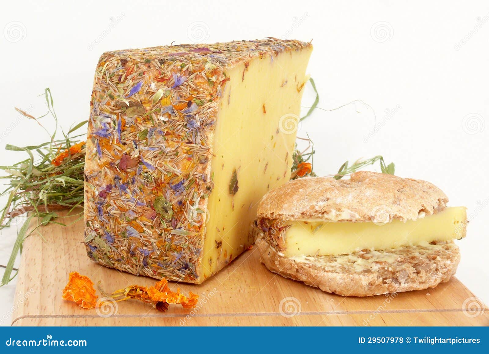 Queso de la flor salvaje foto de archivo. Imagen de mundo - 29507978