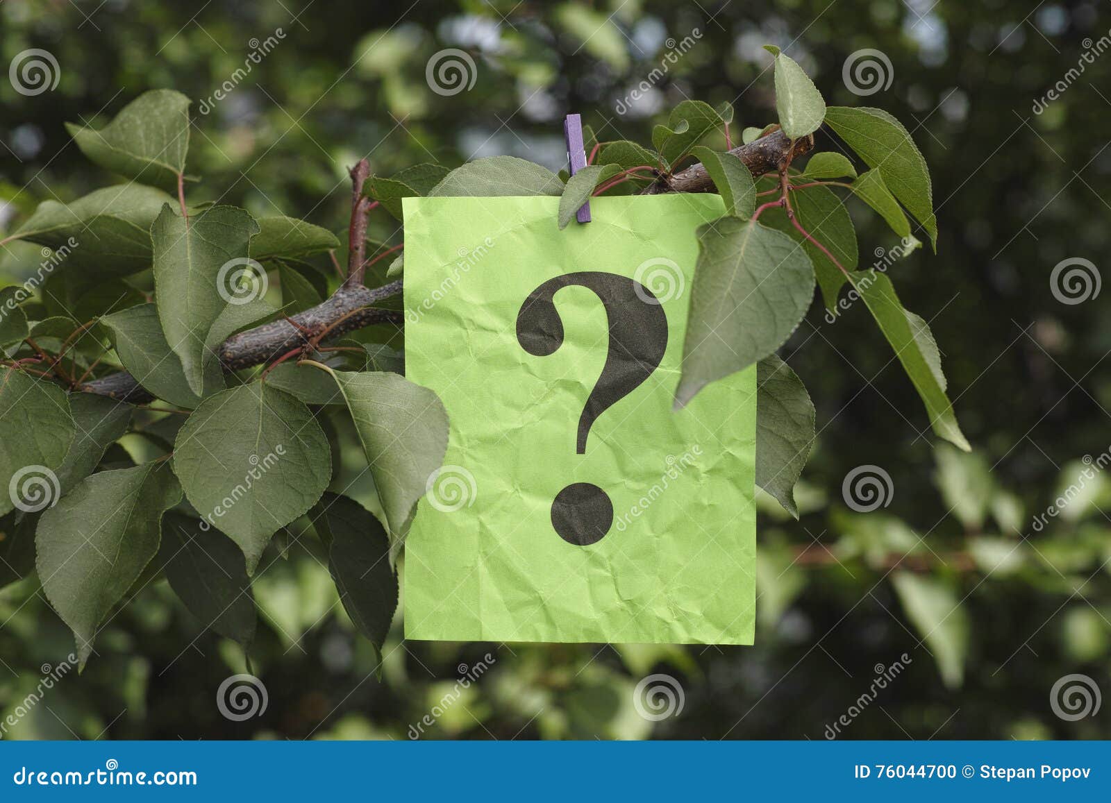 Question Mark Hanging On A Tree Royalty-Free Stock Image ...