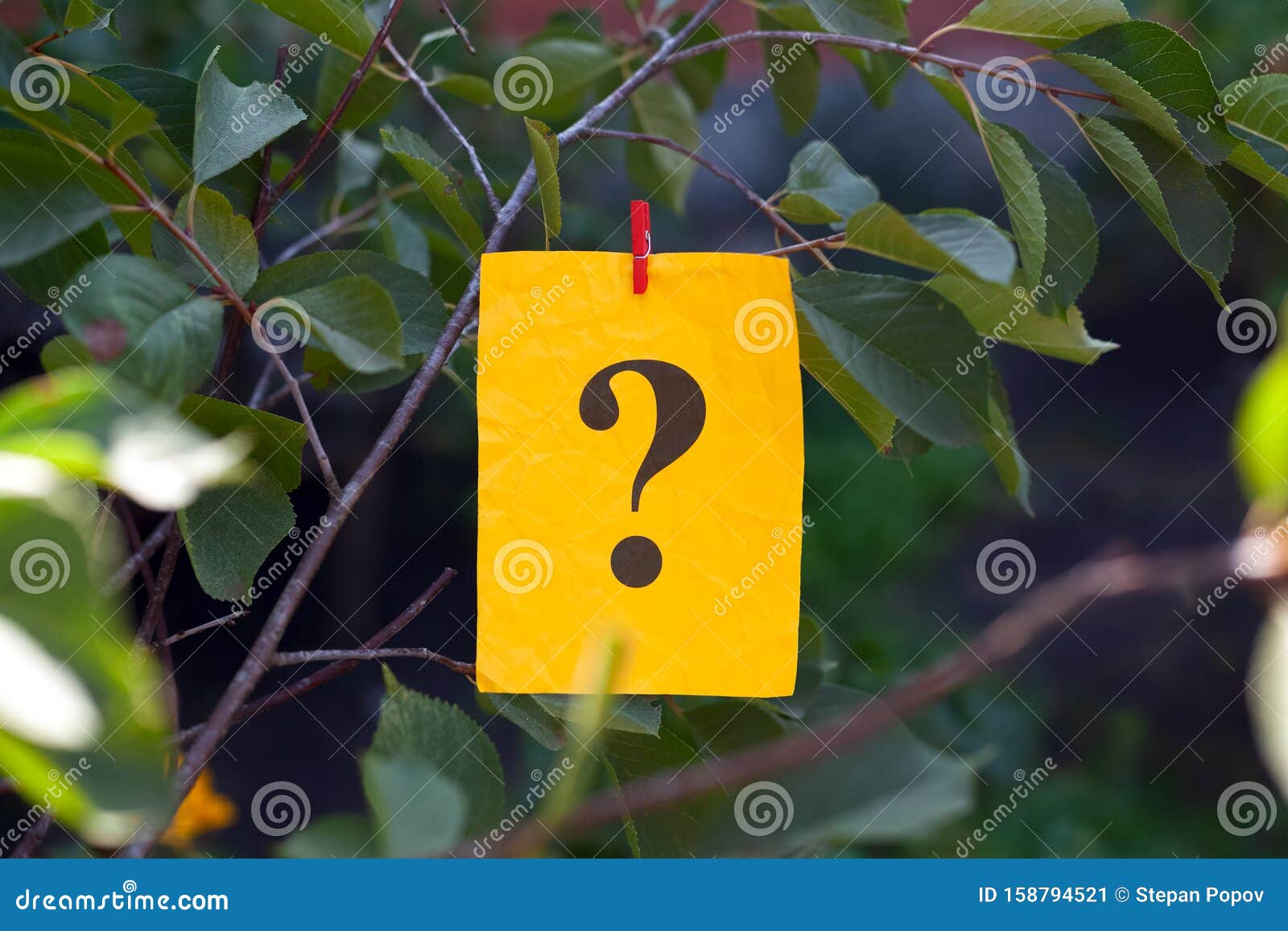 Question Mark Hanging on a Tree Stock Image - Image of mark, question ...