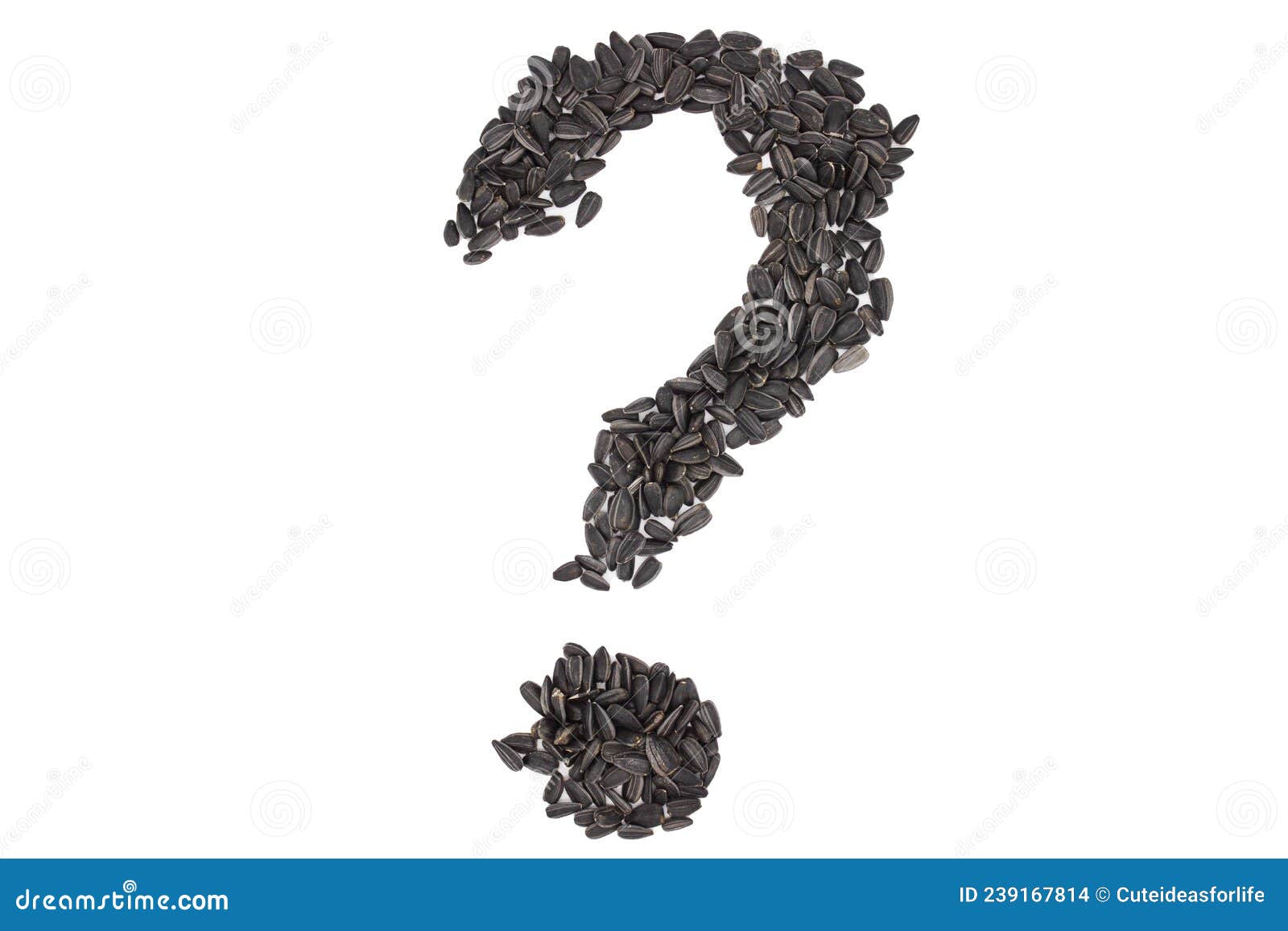Question Mark Laid Out with Sunflower Seeds Stock Photo - Image of ...