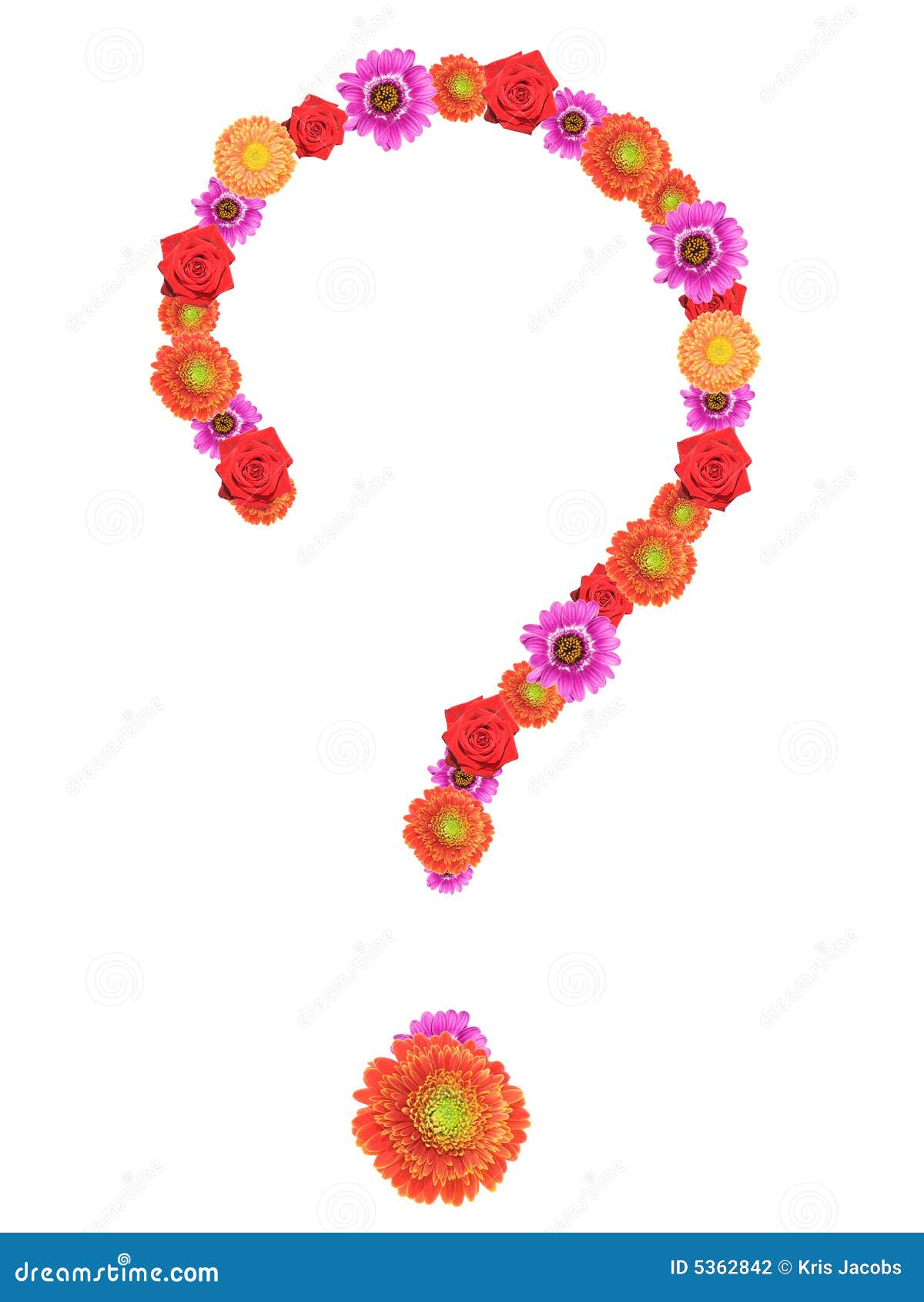 283 Flower Question Mark Stock Photos - Free & Royalty-Free Stock ...