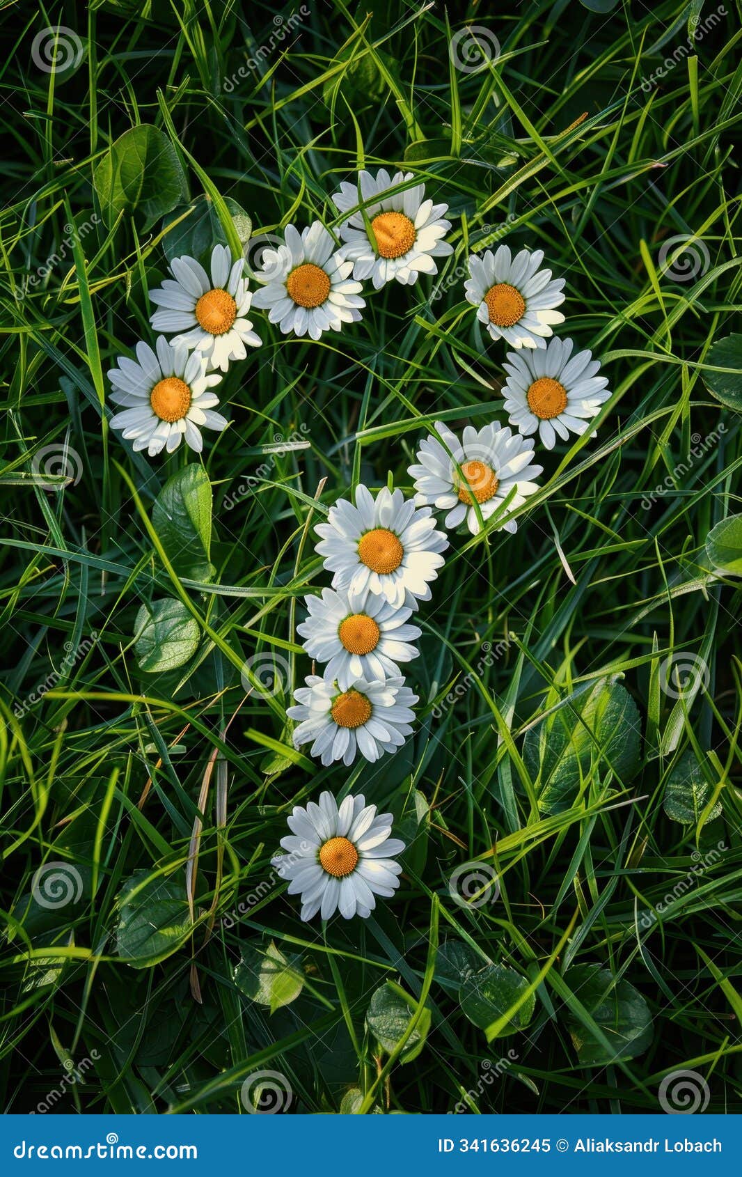 The Question Mark is Made of Flowers on a Green Lawn Stock Image ...