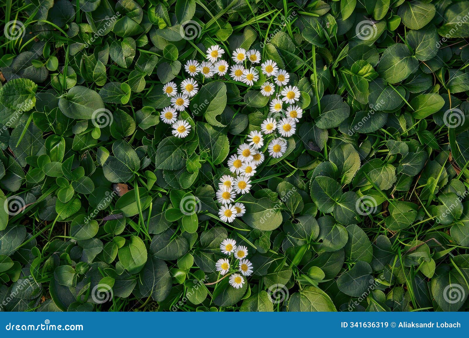 The Question Mark is Made of Flowers on a Green Lawn Stock Image ...