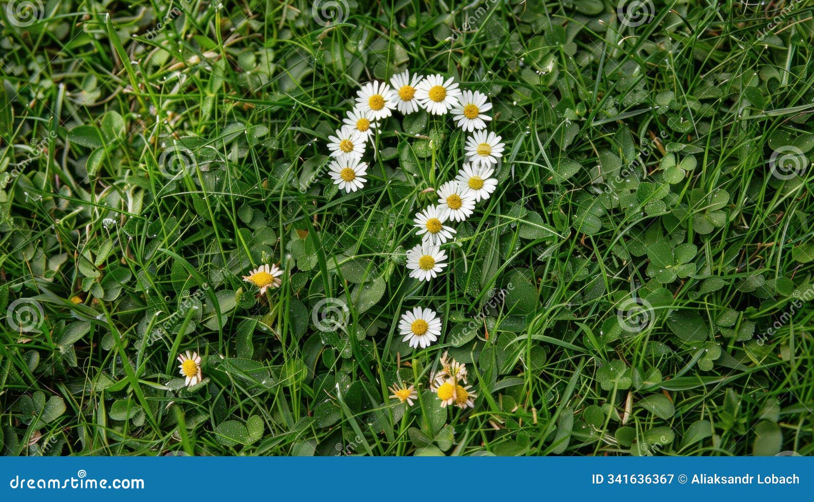 The Question Mark is Made of Flowers on a Green Lawn Stock Image ...
