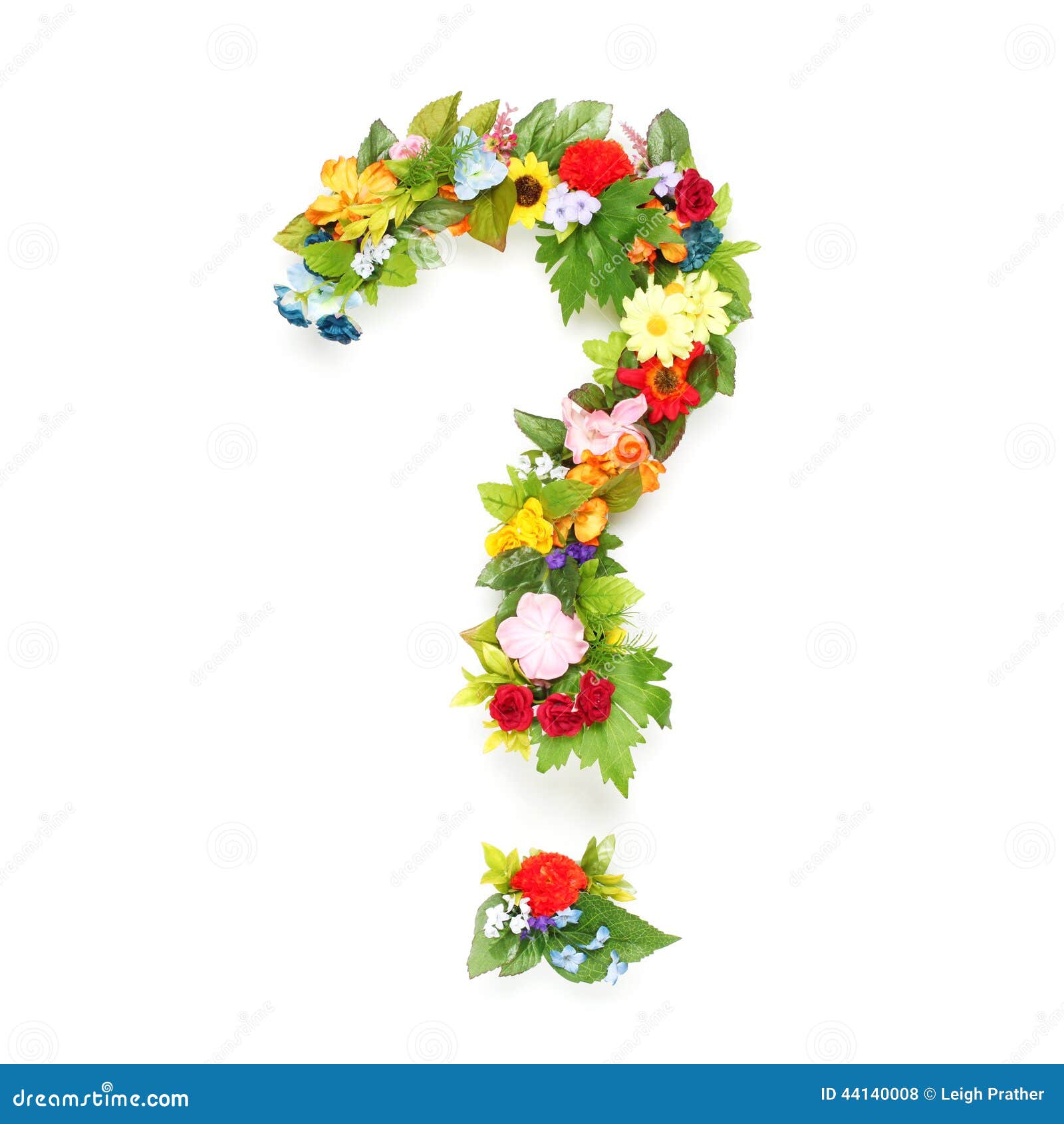 Question Mark Made of Leaves & Flowers Stock Photo - Image of natural ...