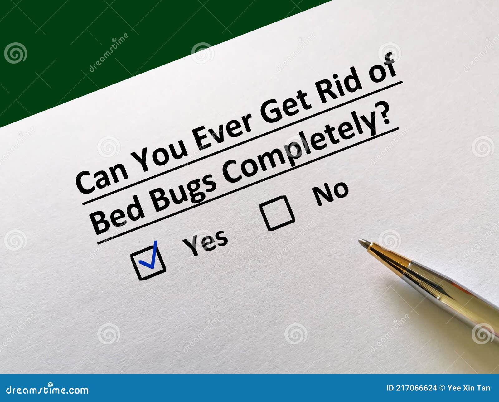 Questionnaire about Insects Stock Photo - Image of care, plants: 217066624