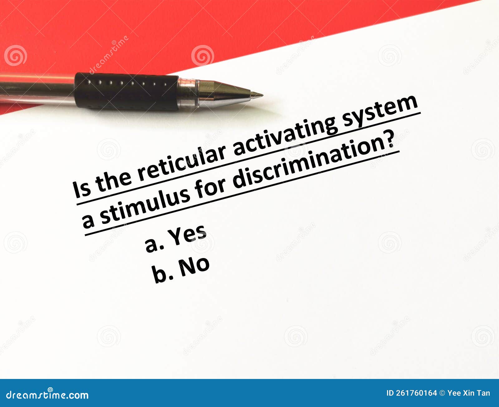 Questionnaire about racism stock photo. Image of racial - 261760164