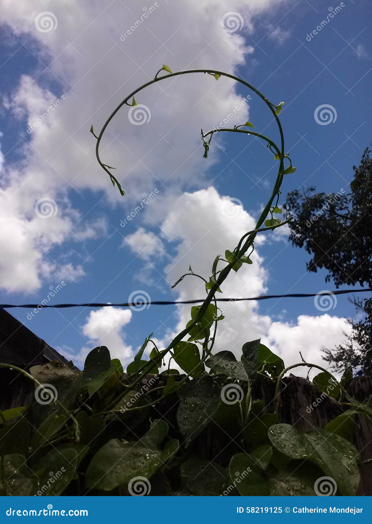 Questions stock image. Image of light, nature, questions - 58219125