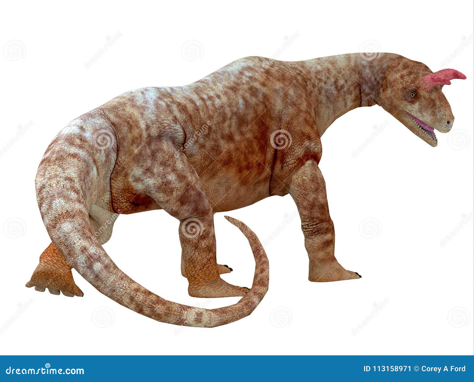 Queue De Dinosaure De Shringasaurus Illustration Stock - Illustration ...