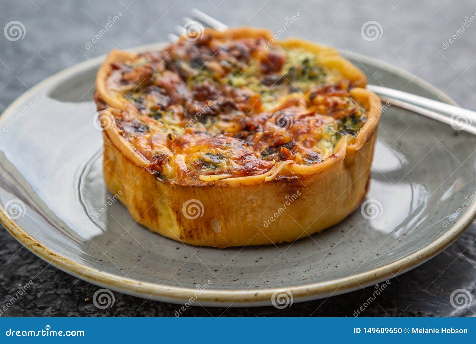 A Quiche on a Plate stock photo. Image of field, flan - 149609650
