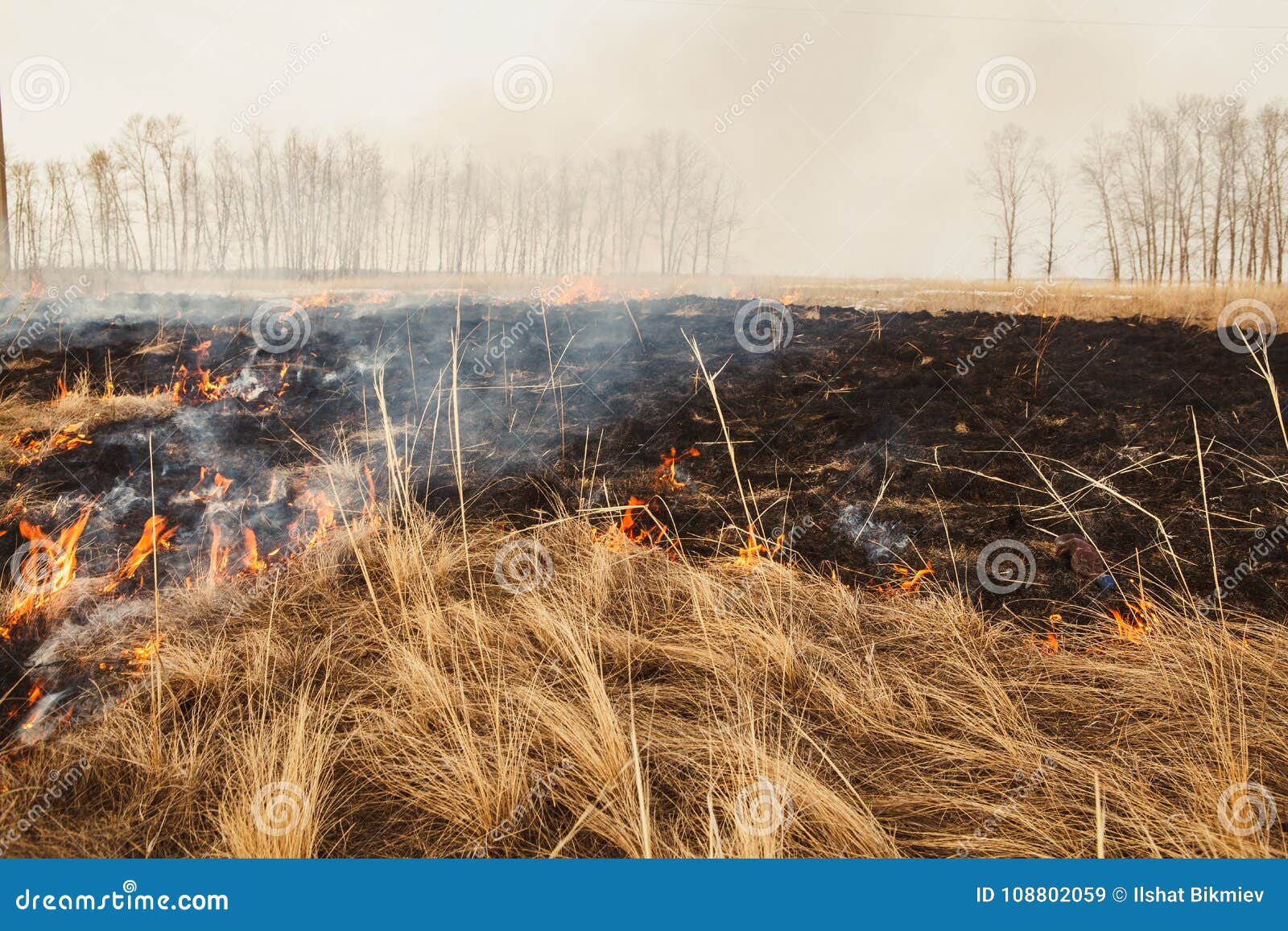 Danger Of Forest Fire Sign Royalty-Free Stock Photography ...