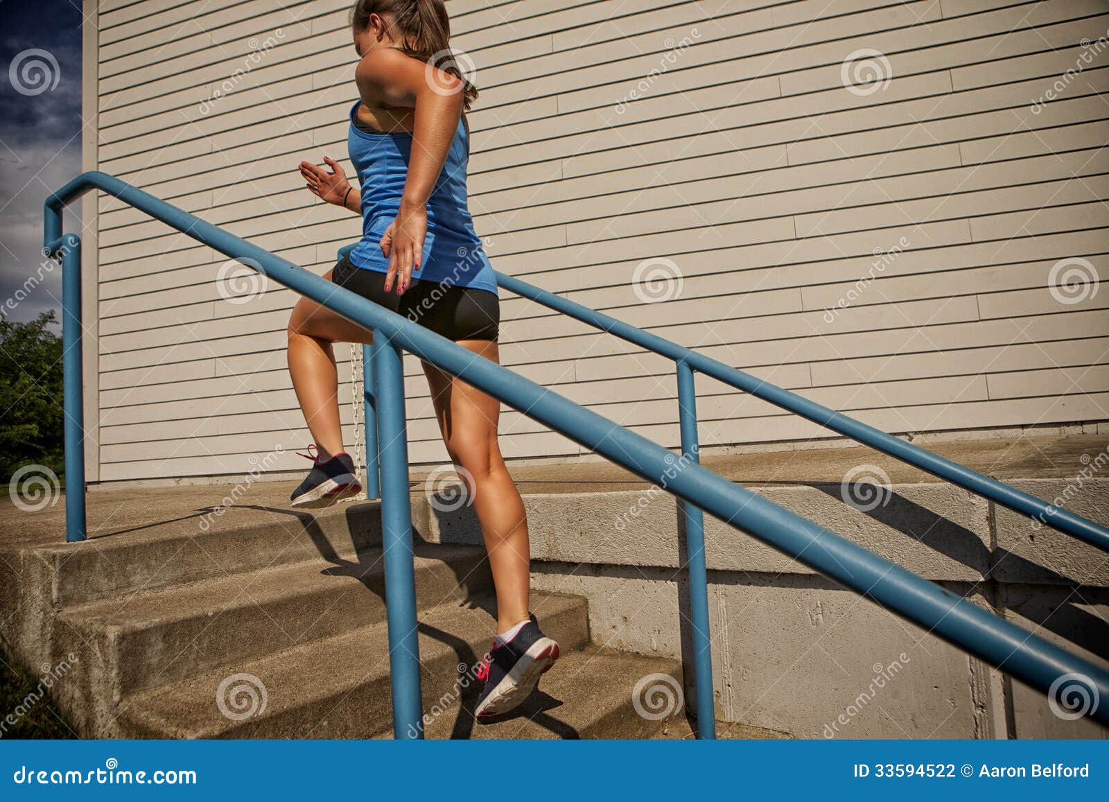 A quick flight stock photo. Image of outside, copyspace - 33594522