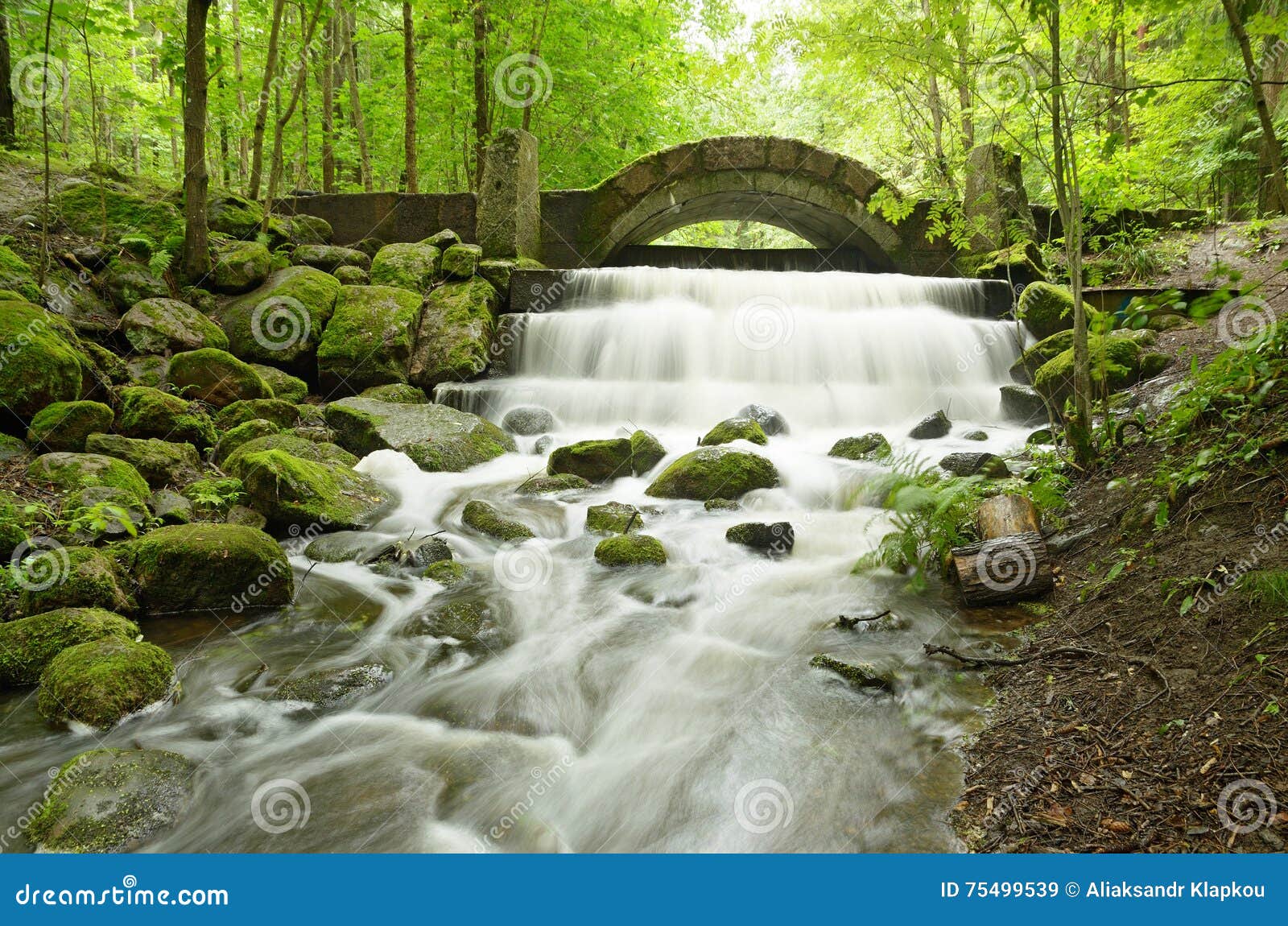 A quick flow of water. stock image. Image of cascade - 75499539