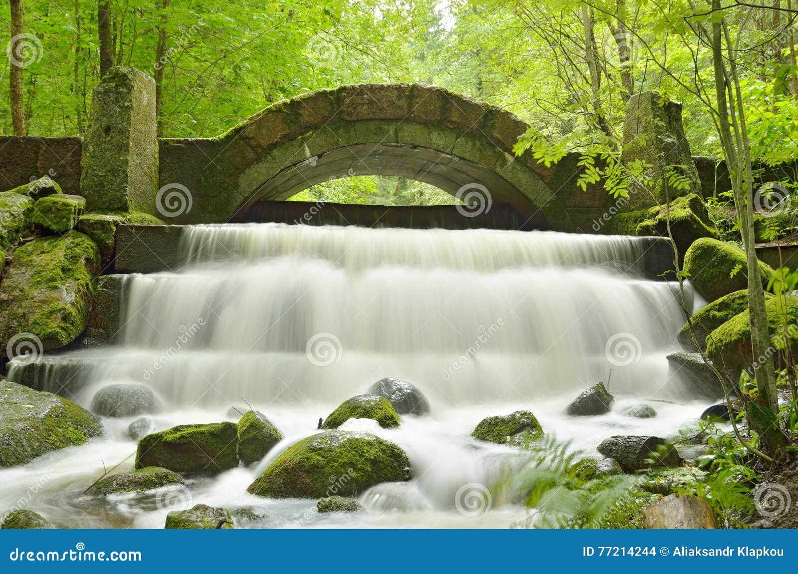 A quick flow of water. stock photo. Image of stone, shore - 77214244