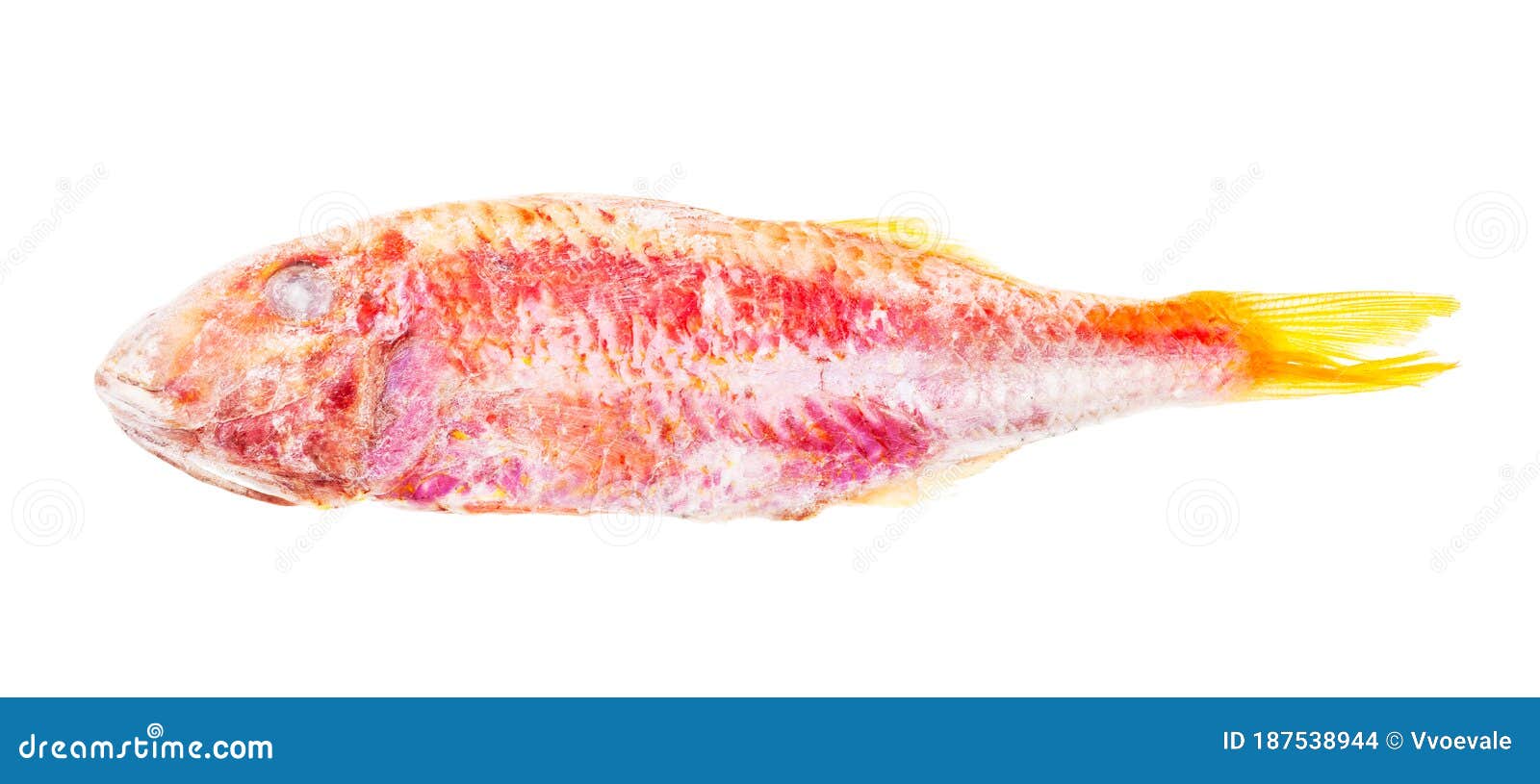 Quick-frozen Red Mullet Fish Isolated on White Stock Photo - Image of ...